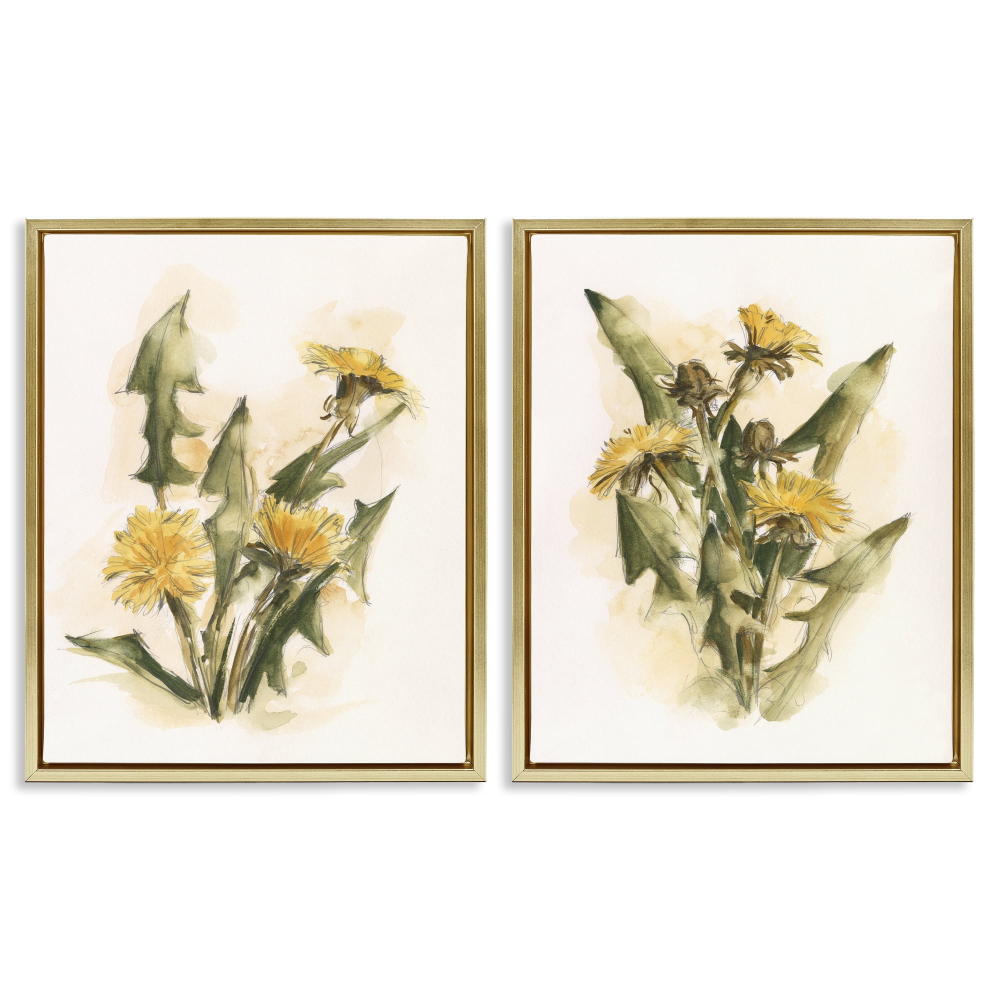 Stupell Industries Dandelion Watercolor Sketch Plants & Flowers ...
