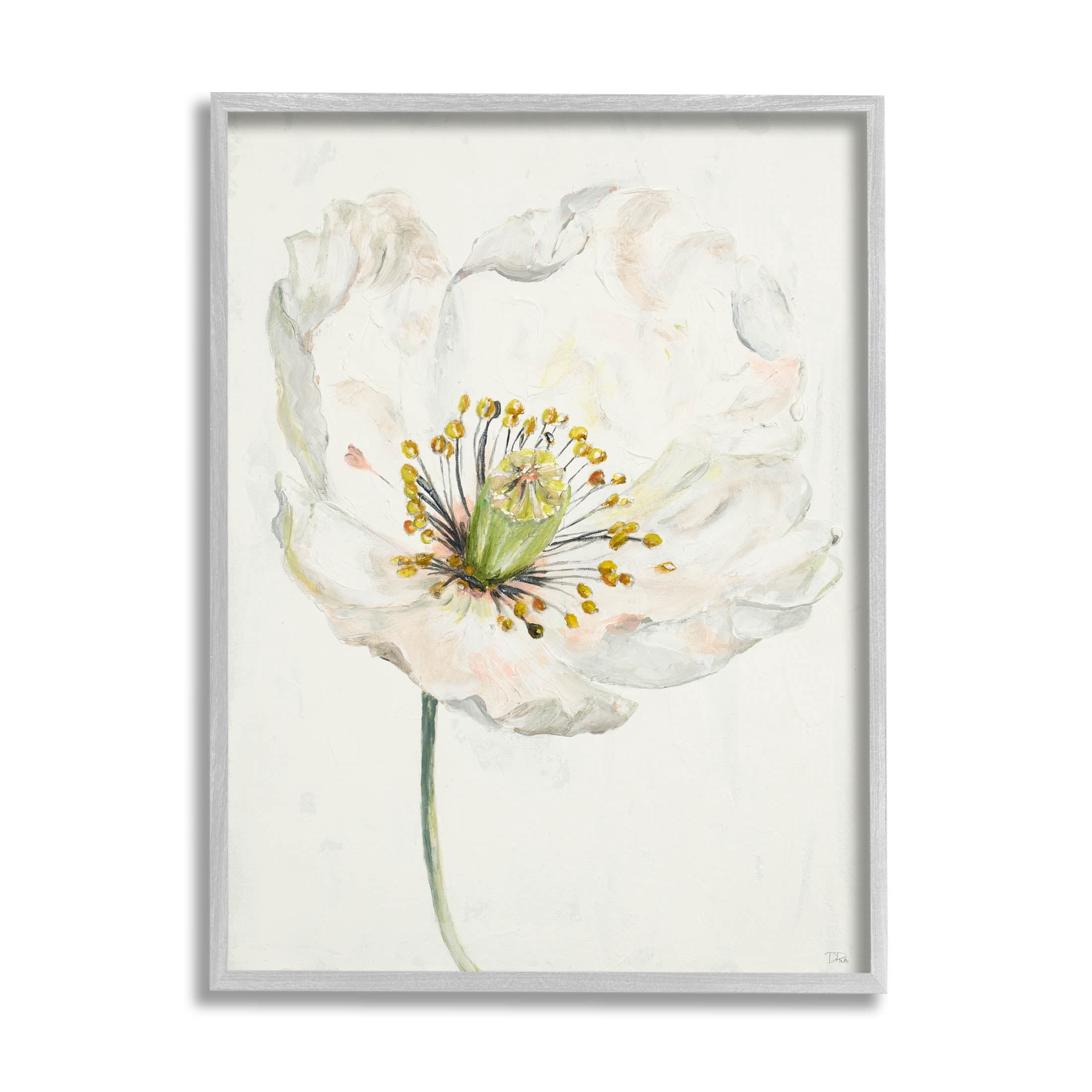 Stupell Industries Delicate Beauty White Flower Graphic Art Gray Framed ...