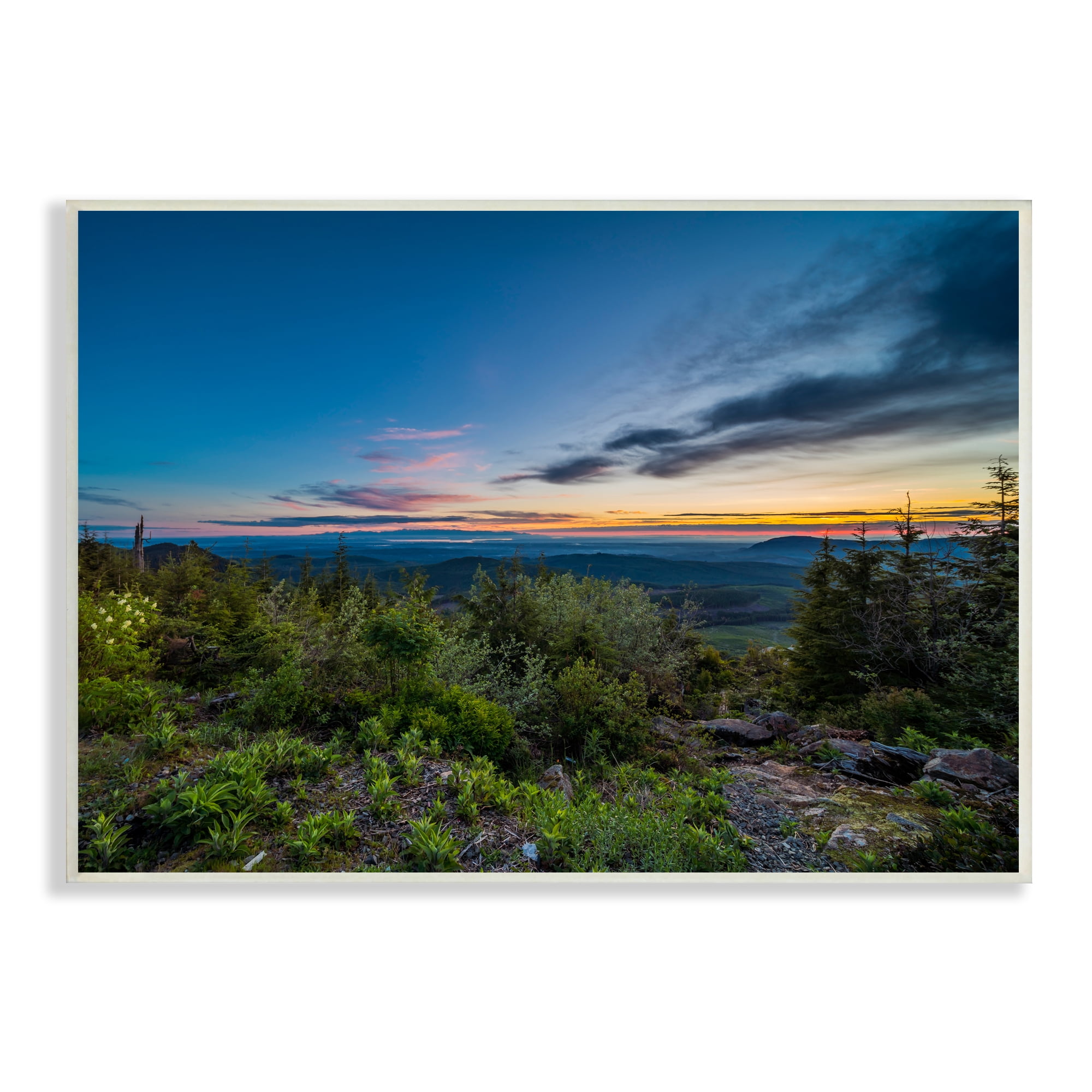 Stupell Industries Dense Brush Sunset Landscape Wall Art 19x13 MDF by ...