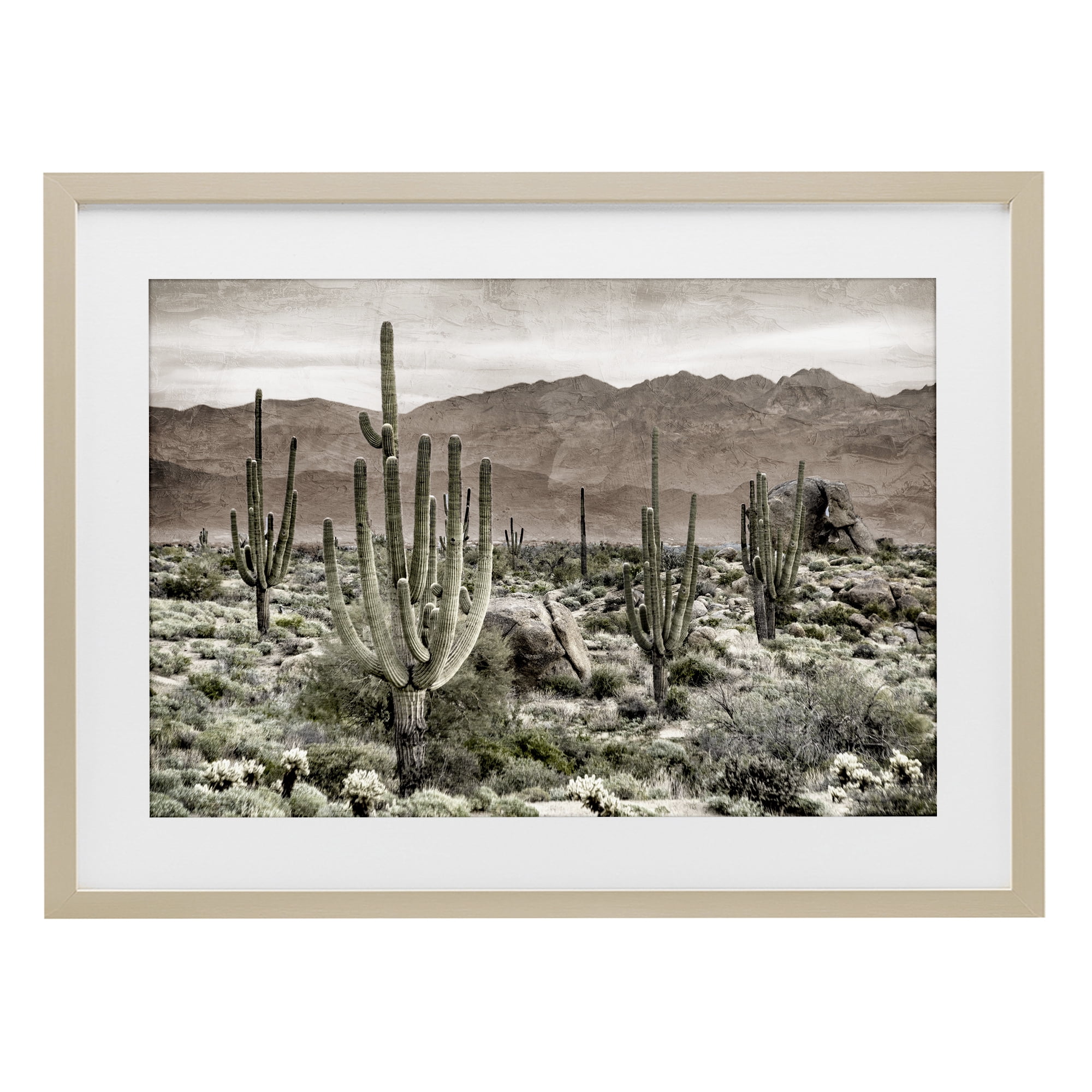 Stupell Industries Desert Land Cacti Wilderness Birch Framed Print ...