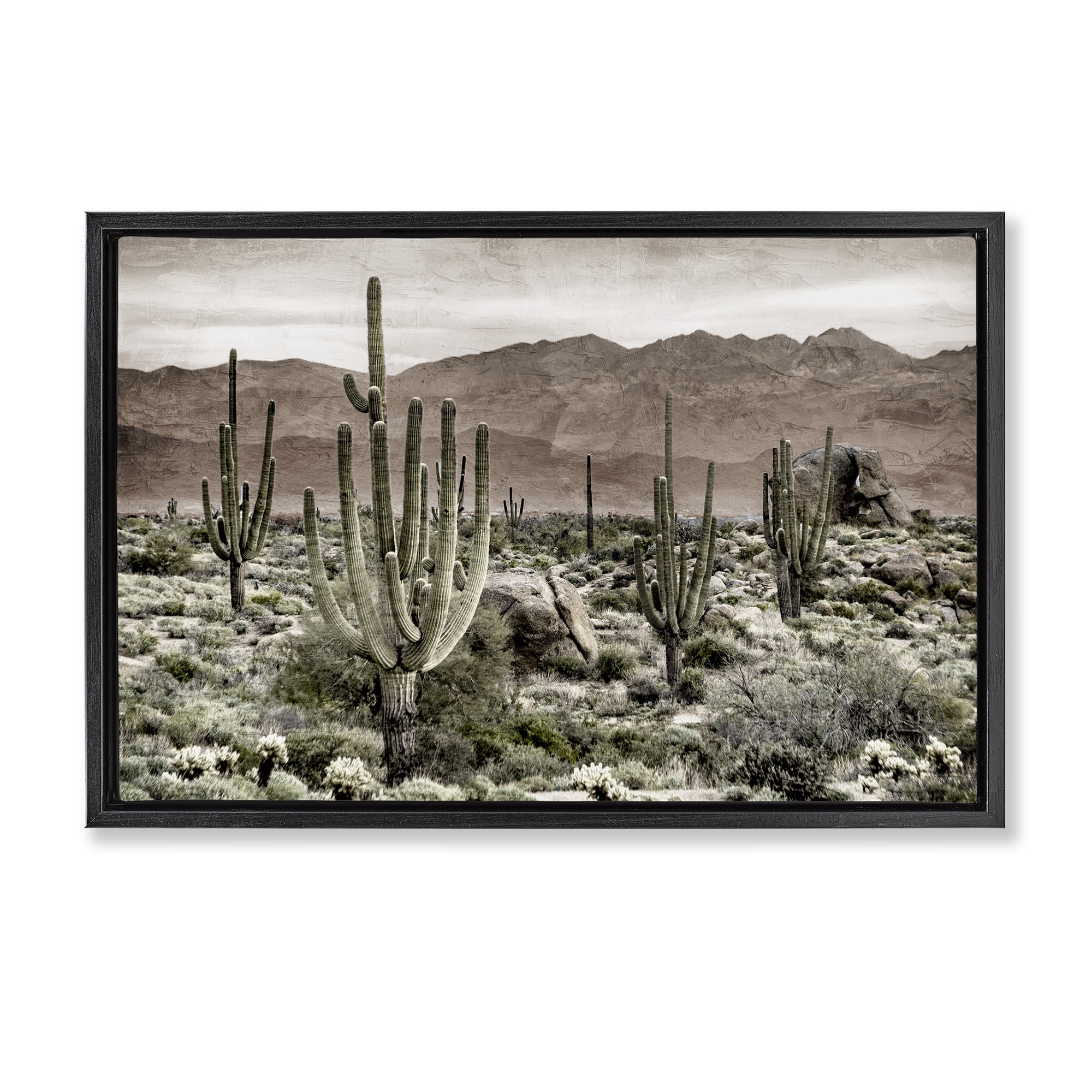 Stupell Industries Desert Land Cacti Wilderness Black Framed Floater ...