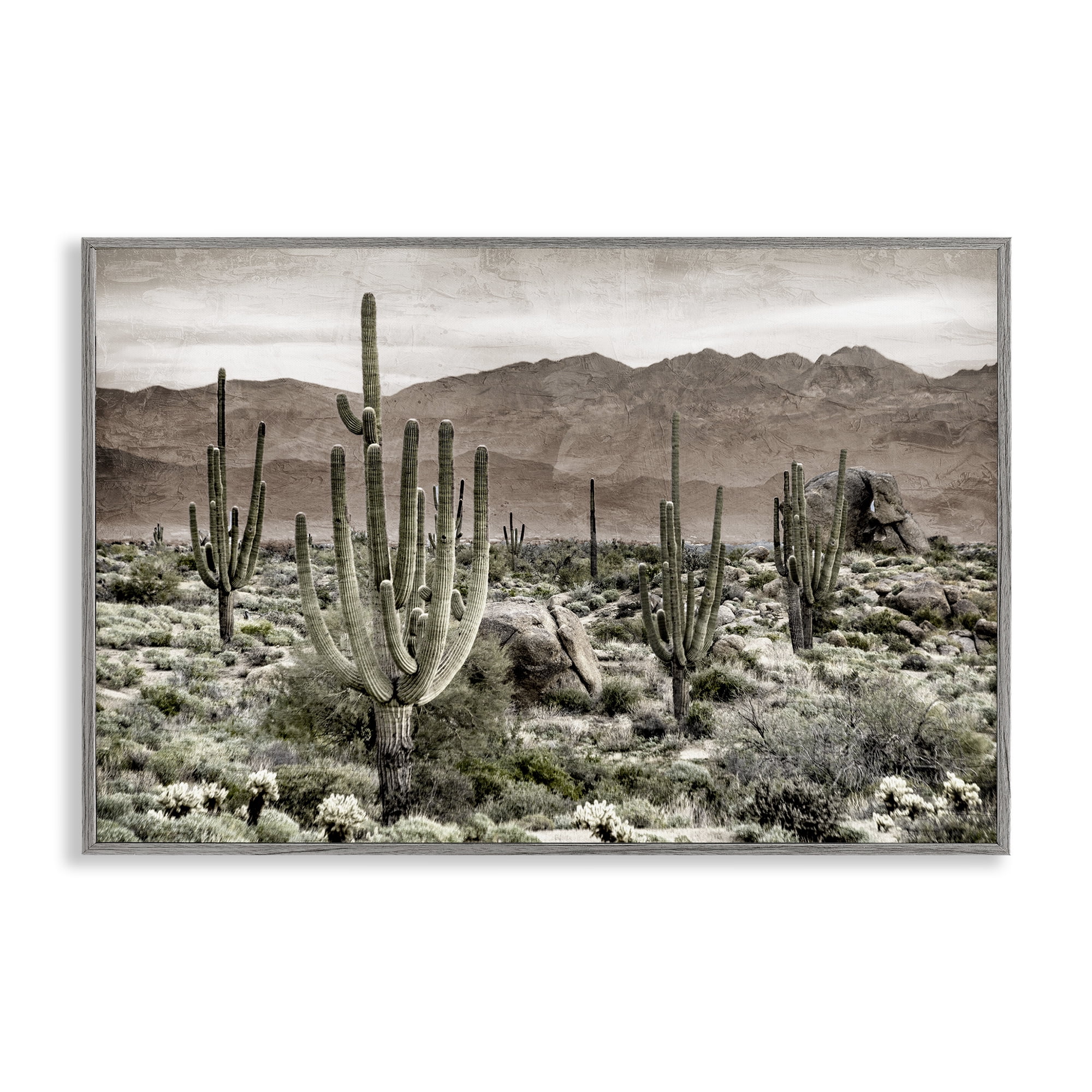 Stupell Industries Desert Land Cacti Wilderness Gray Framed Giclee Art ...