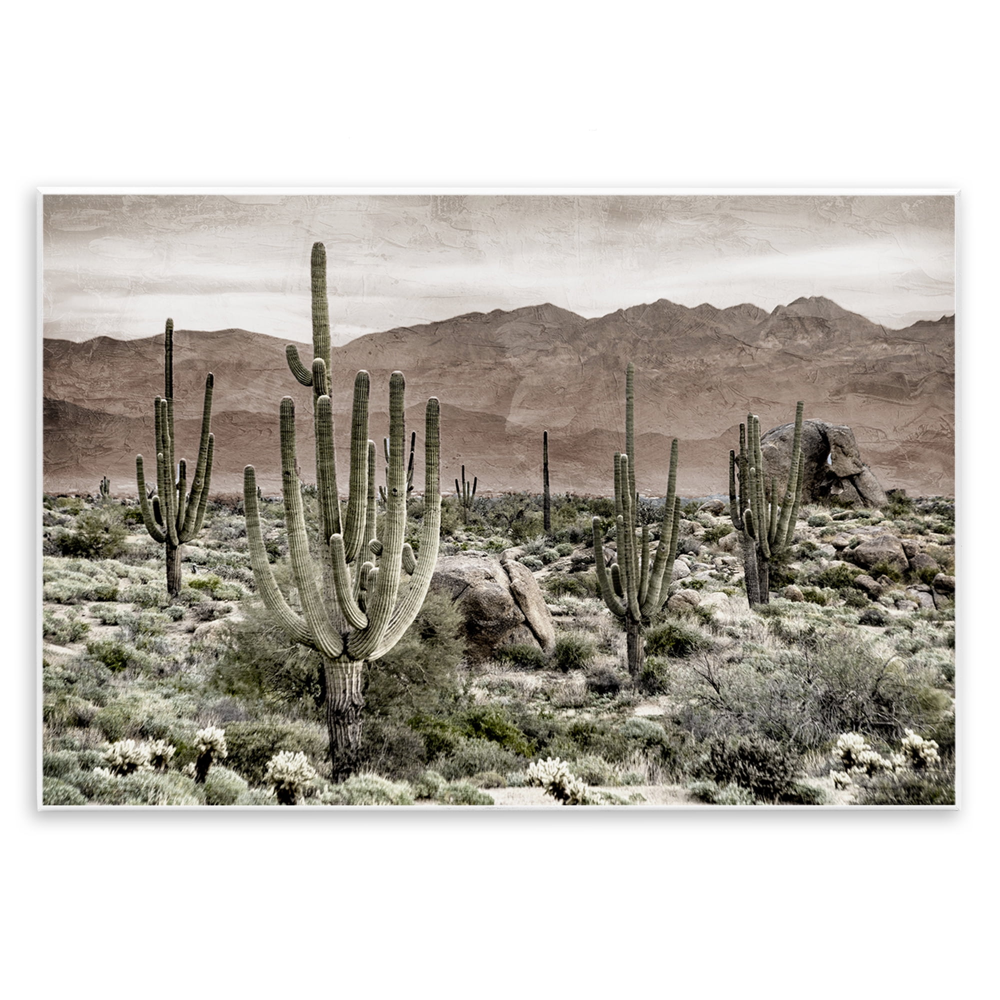Stupell Industries Desert Land Cacti Wilderness Wall Plaque Art, design ...