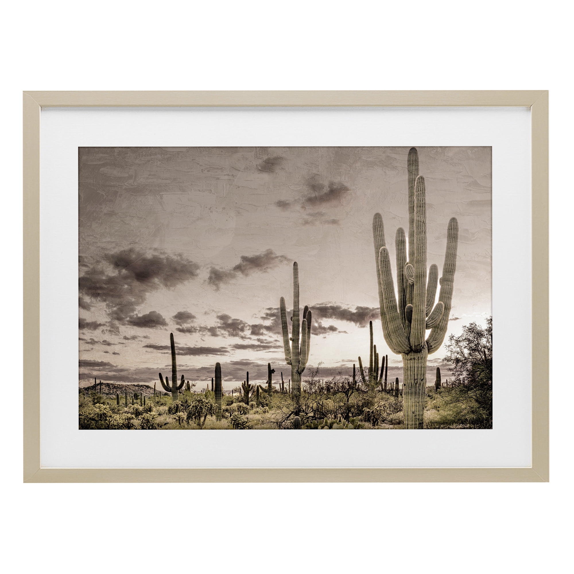 Stupell Industries Desert Sky Wilderness Birch Framed Print Under Glass ...