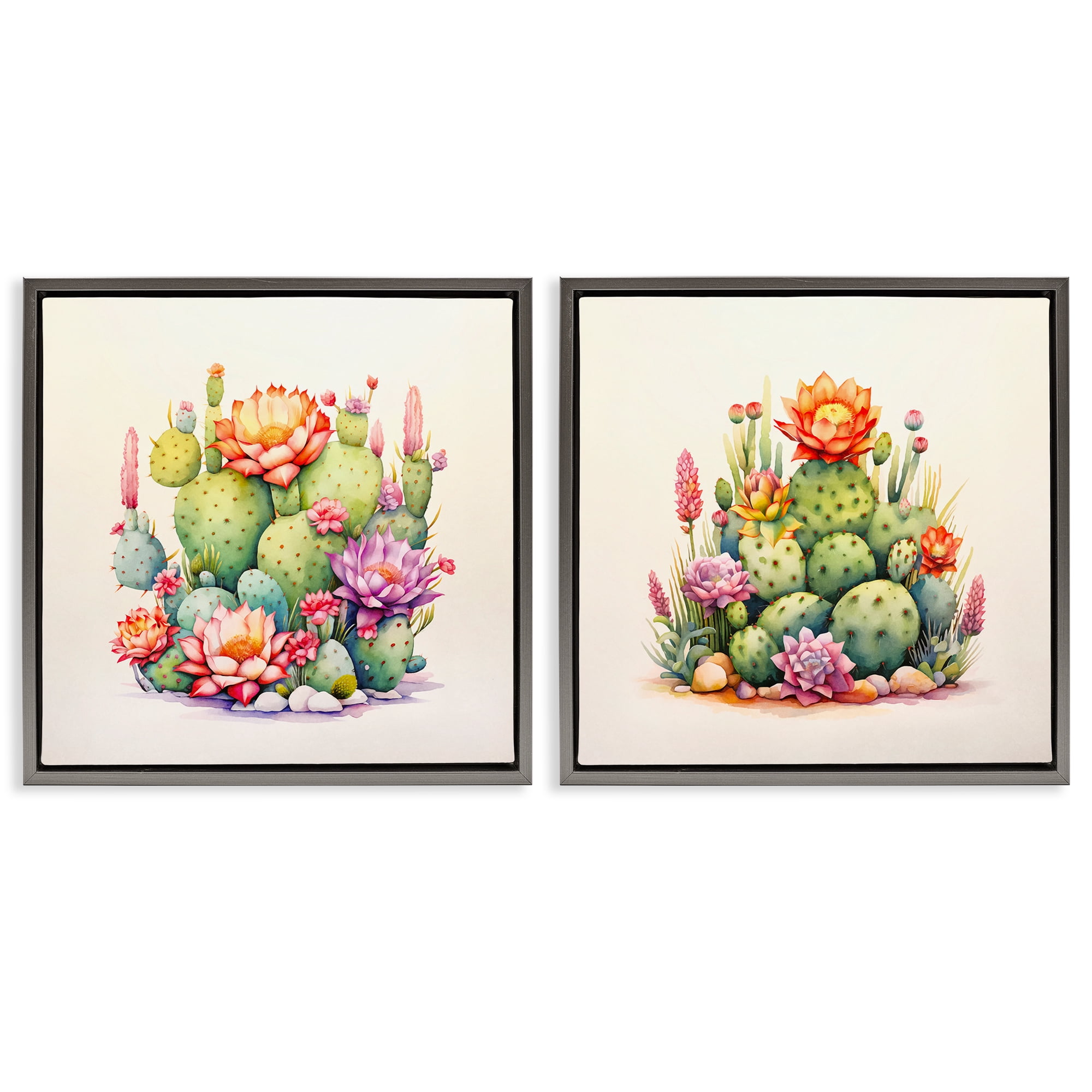 Stupell Industries Desert Spring Cactus Flowers Plants & Flowers ...
