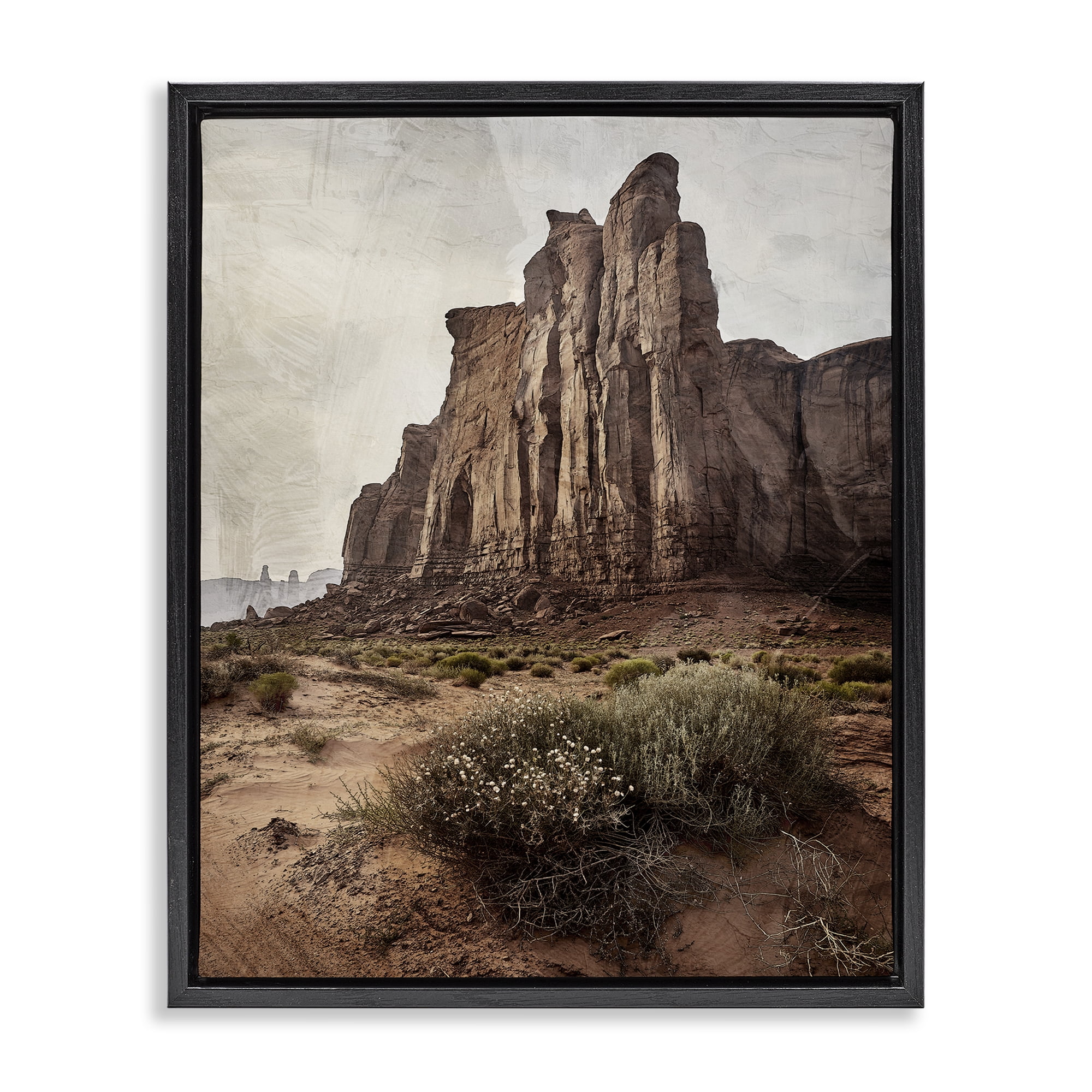 Stupell Industries Desolate Rock View Black Framed Floater Canvas Wall ...
