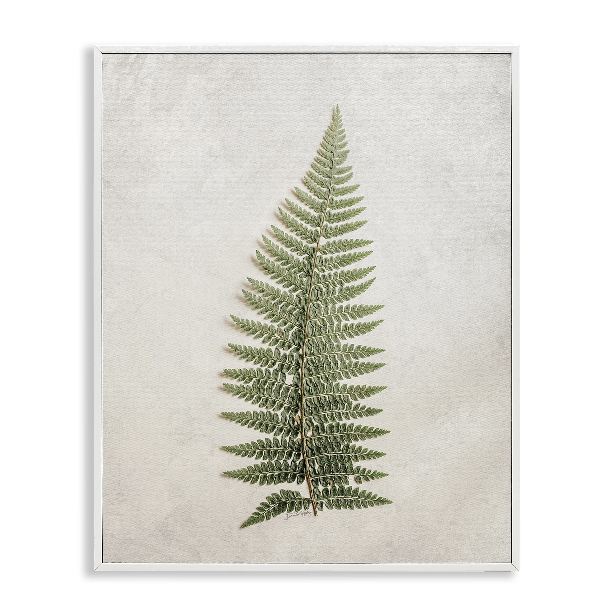 Stupell Industries Detailed Fern Frond Botanical & Floral Painting ...