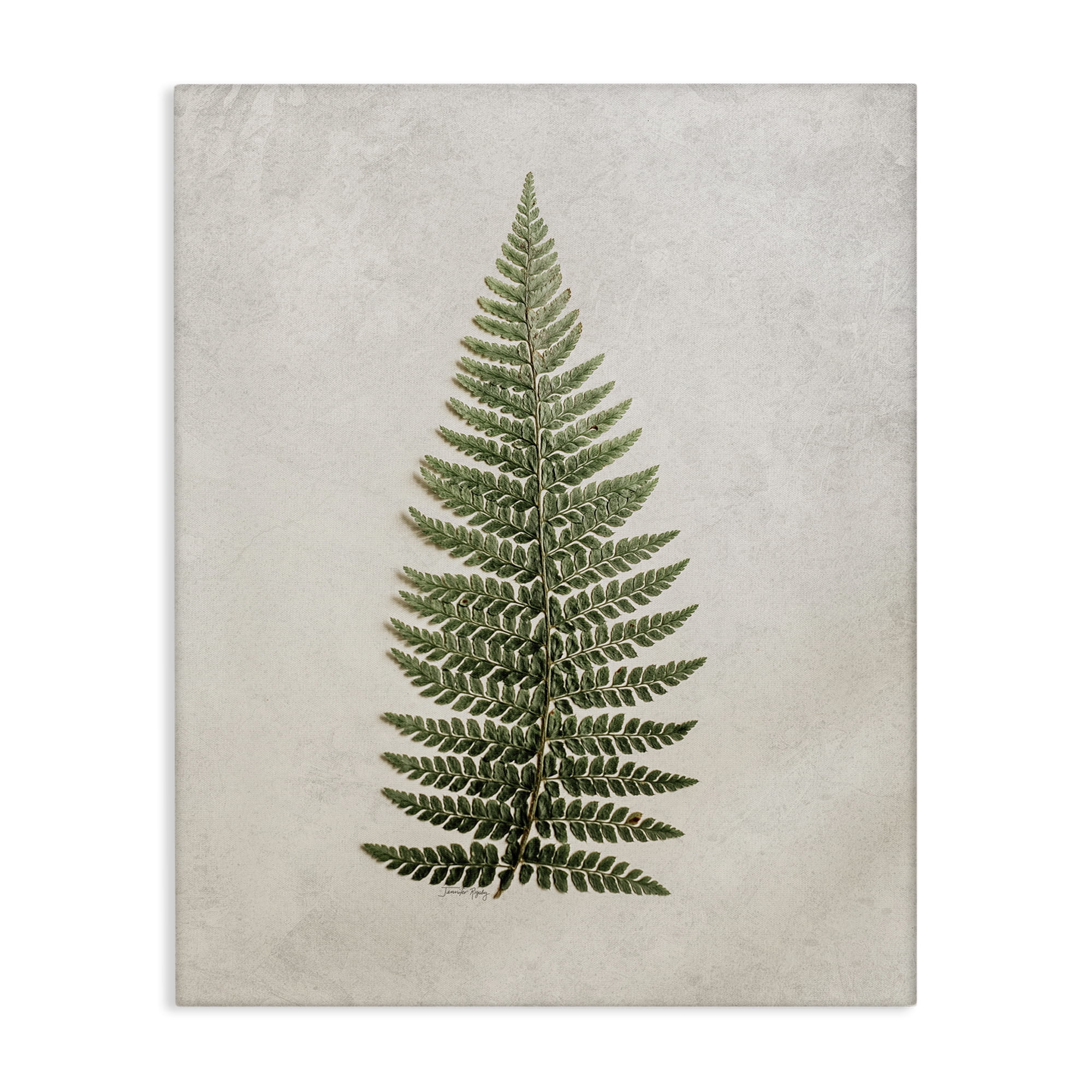 Stupell Industries Detailed Fern Leaf Botanical & Floral Painting ...