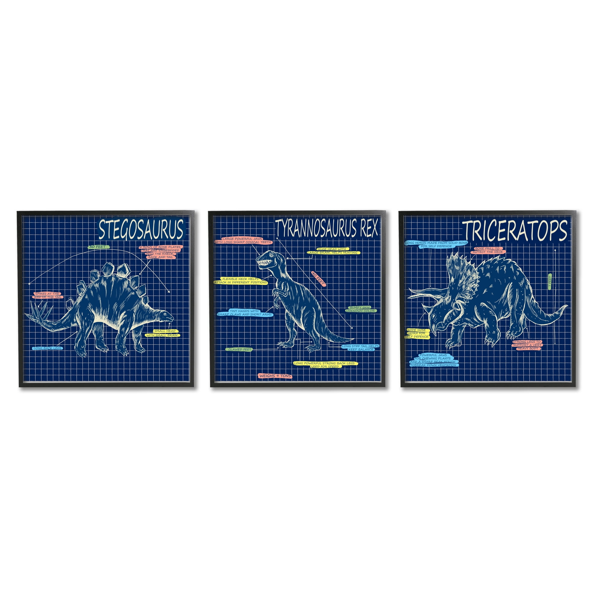 Stupell Industries Dinosaur Blueprint Chart Interesting Reptile Facts ...