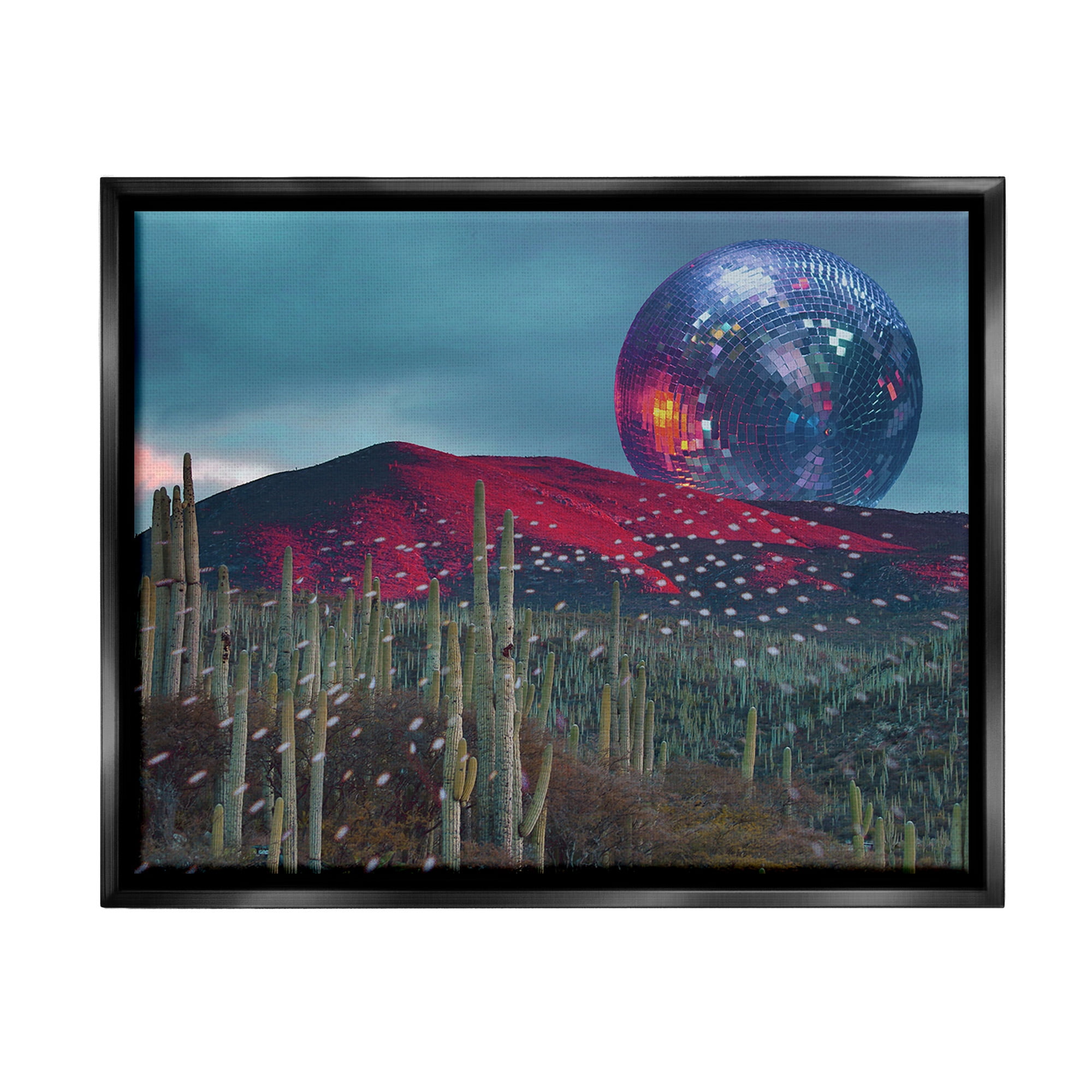 Stupell Industries Disco Ball in Desert Landscape Painting Black ...