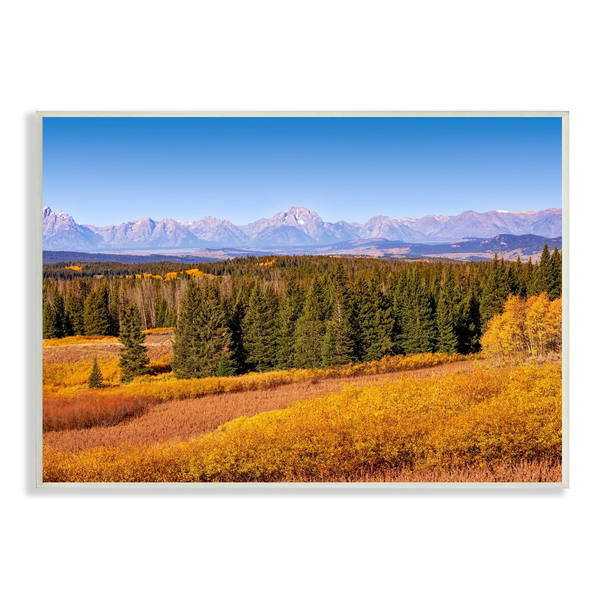 Stupell Industries Distant Mountains Woodland Fields Country Trees ...