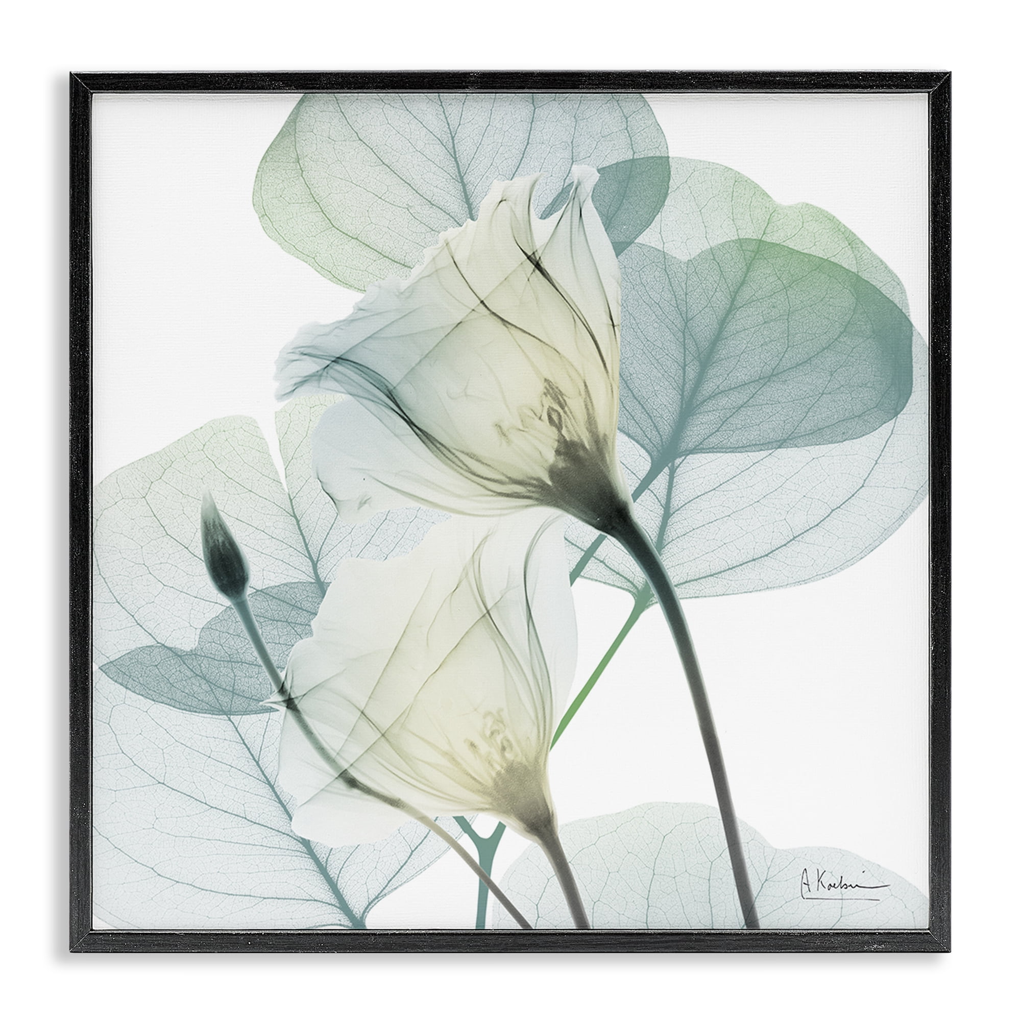 Stupell Industries Divine Fate Petals Black Framed Giclee Art, design ...
