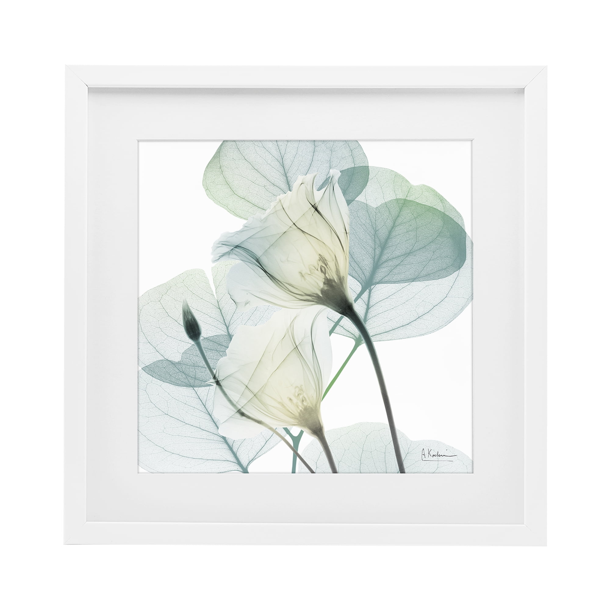 Stupell Industries Divine Fate Petals White Framed Print Under Glass ...