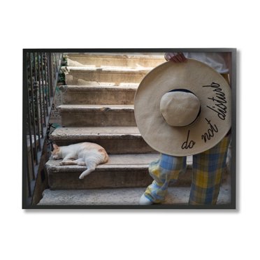 FrameToWall - Fat Cat Capsizing 29x15 Framed Art Print by Watherwax ...