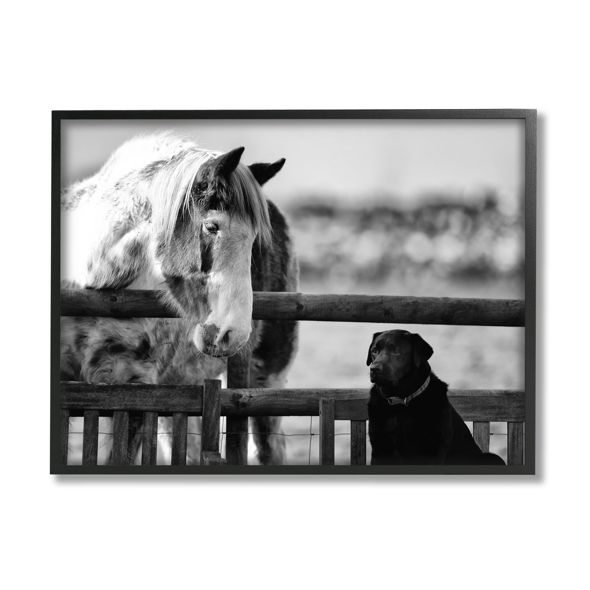 Stupell Industries Dog & Horse Farm Animal Friends Monochrome ...