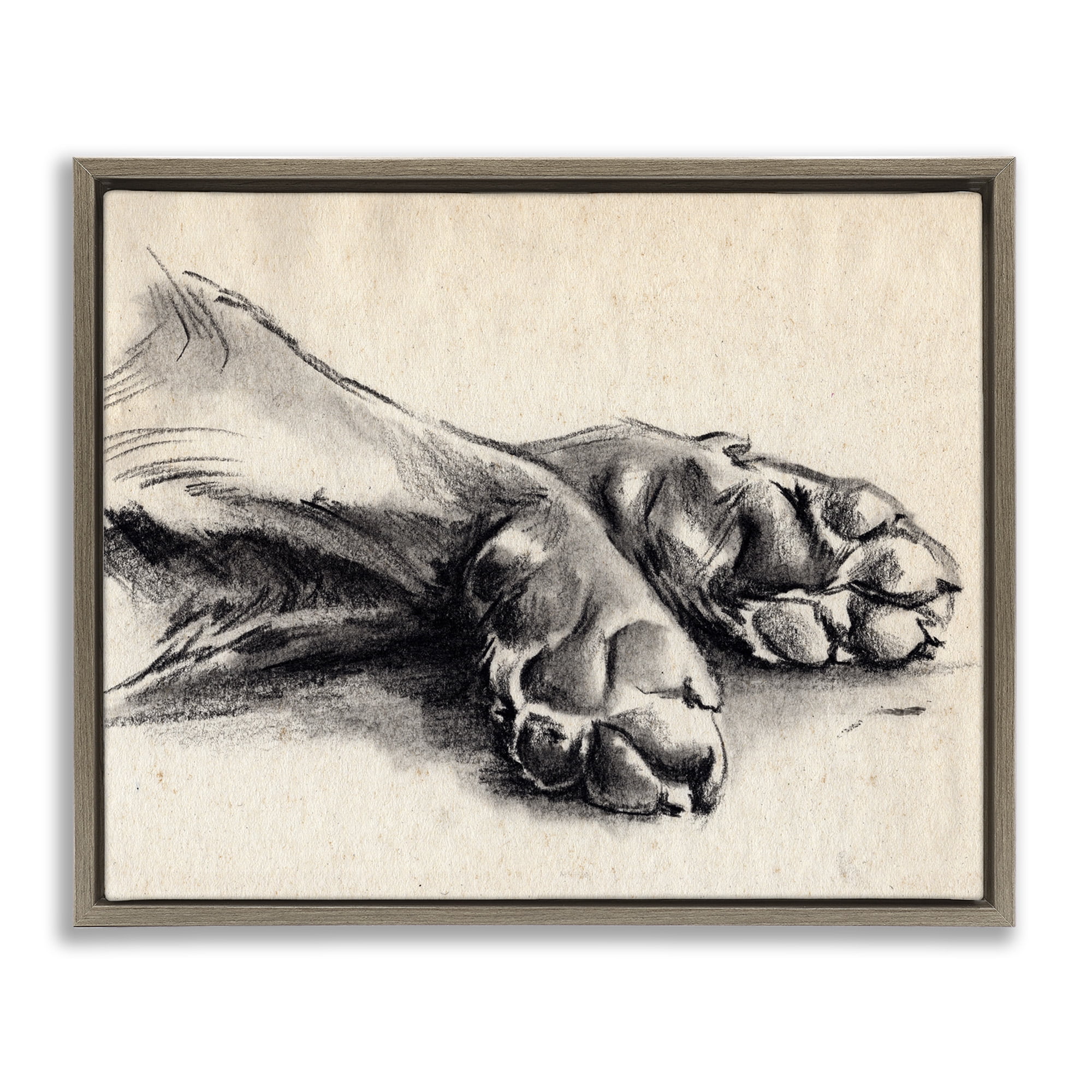 Stupell Industries Dog Paw Charcoal Design Animals & Insects Drawing ...