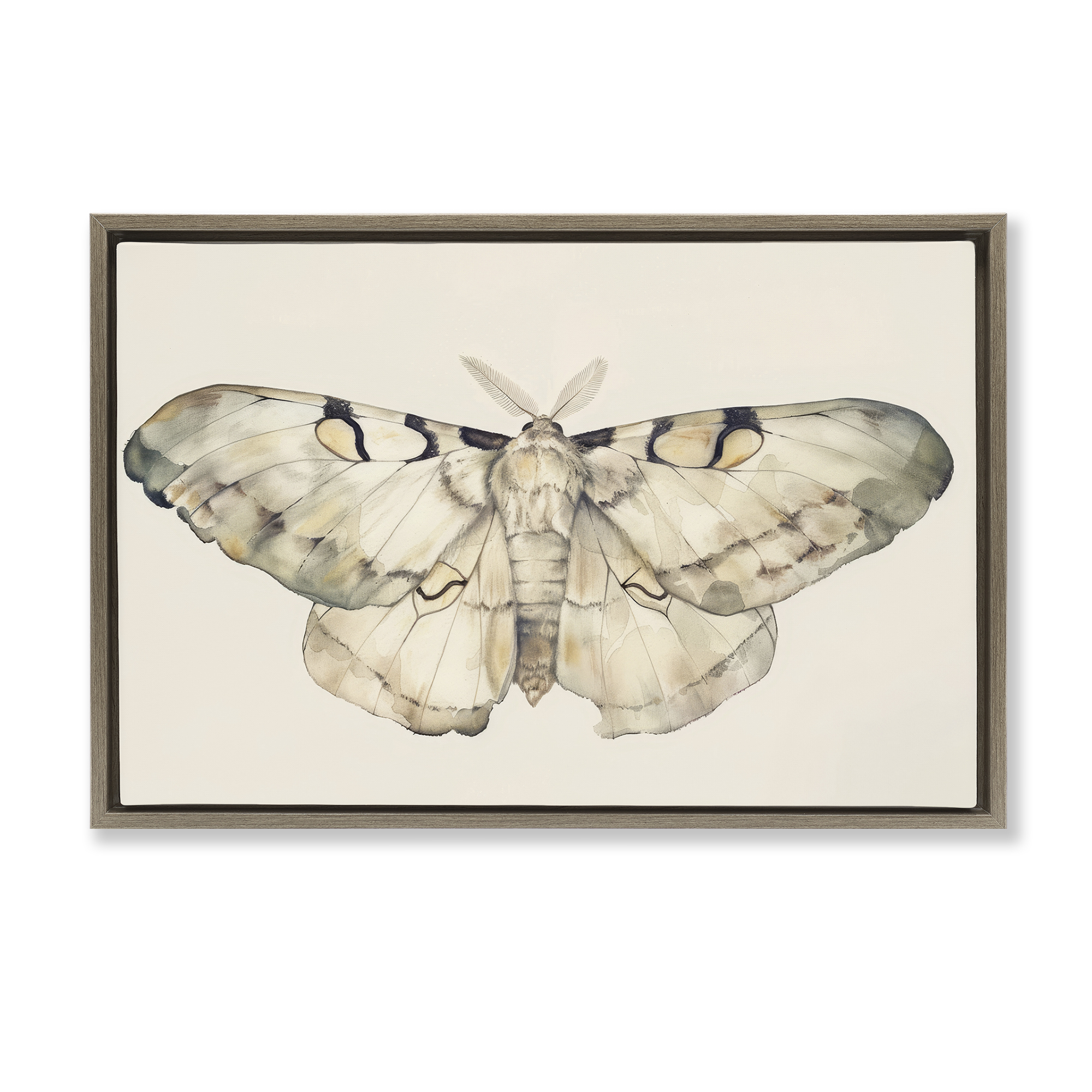 Stupell Industries Dusty Beige Moth Animals Painting Brown Floater ...