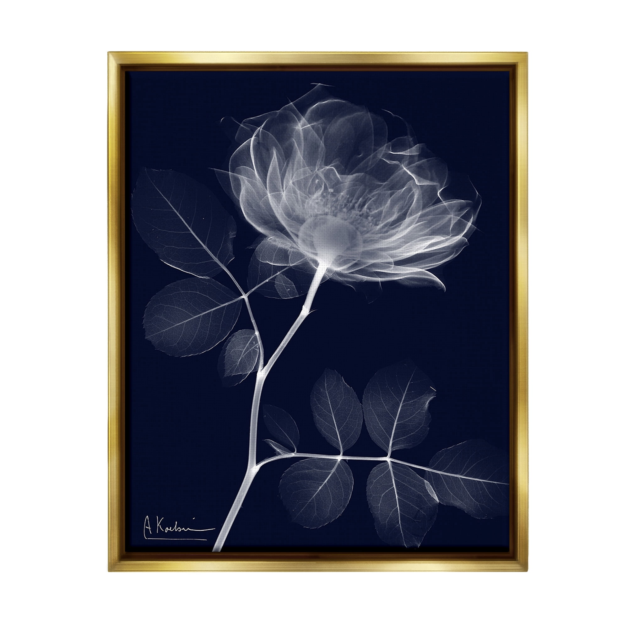 Stupell Industries Dynamic Dark Flower Botanical & Floral Photography ...