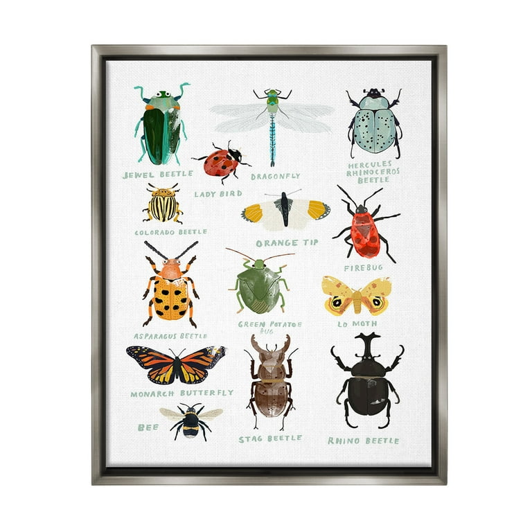 animals and insects