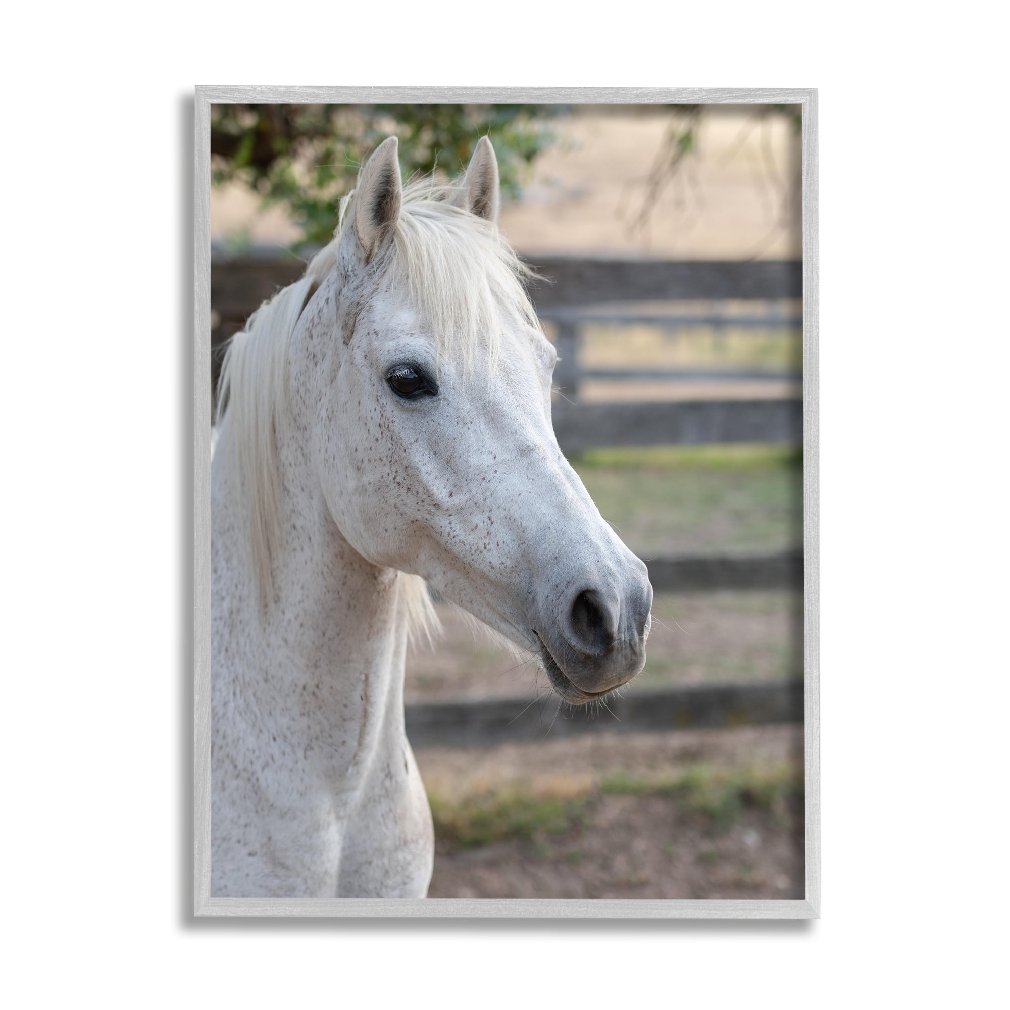 Stupell Industries Elegant White Spotted Horse Rural Country Farm ...