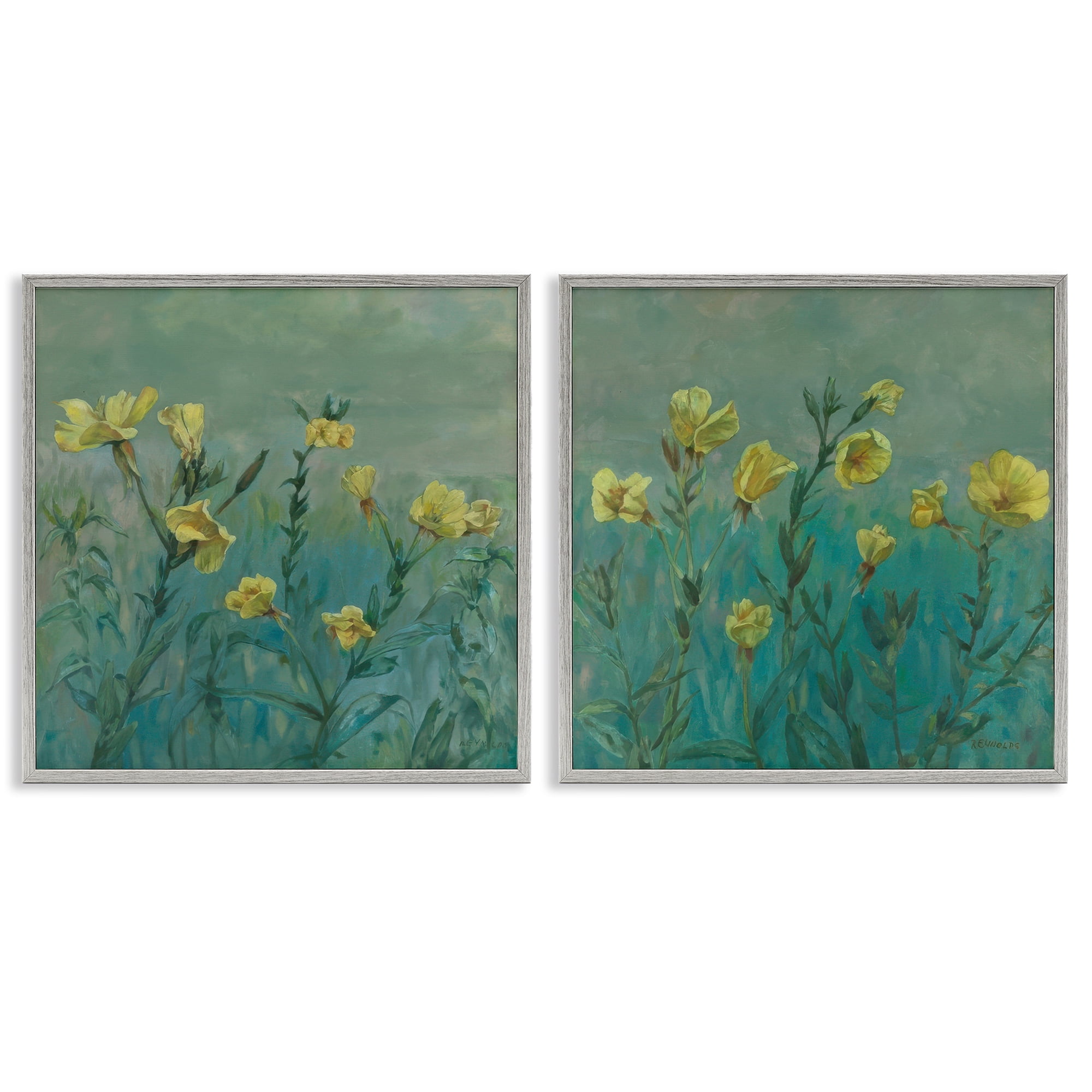 Stupell Industries Evening Primrose Flower Unfurling Plants & Flowers ...