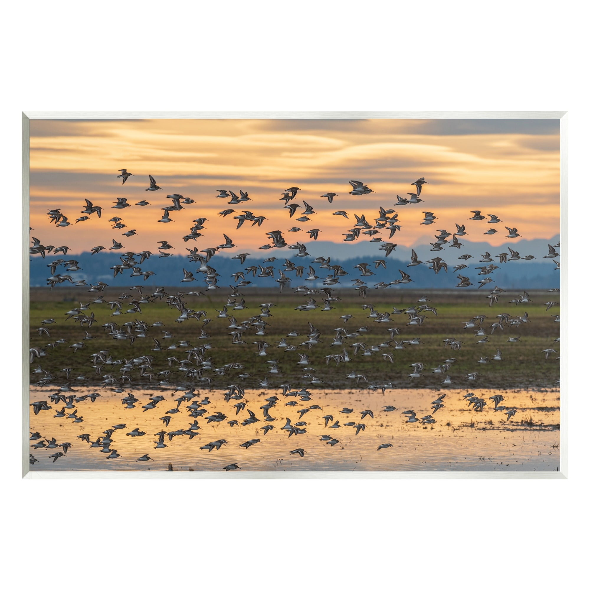 Stupell Industries Flock of Birds Flying Lake Reflection Orange Sunset ...