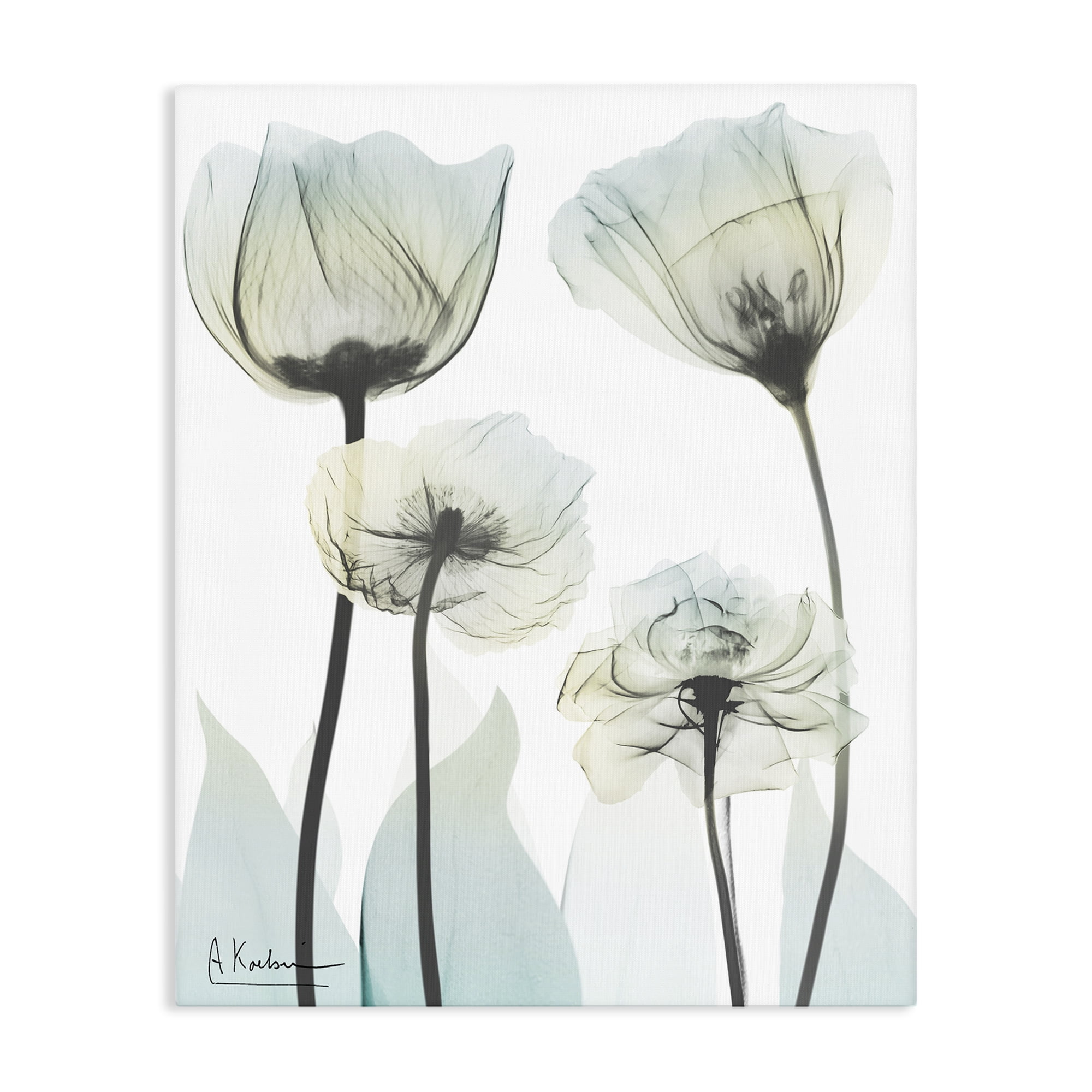 Stupell Industries Floral Luxury Of Creation Canvas Wall Art, design by ...