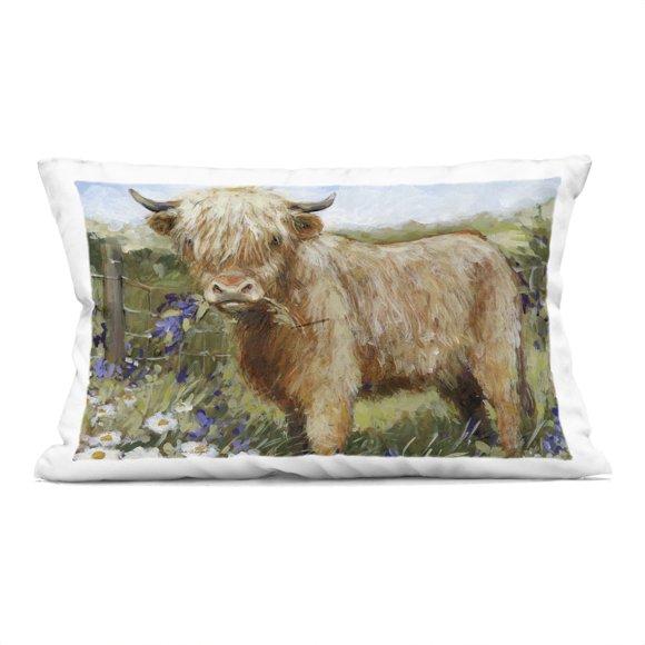 Pioneer Woman Decorative Pillows