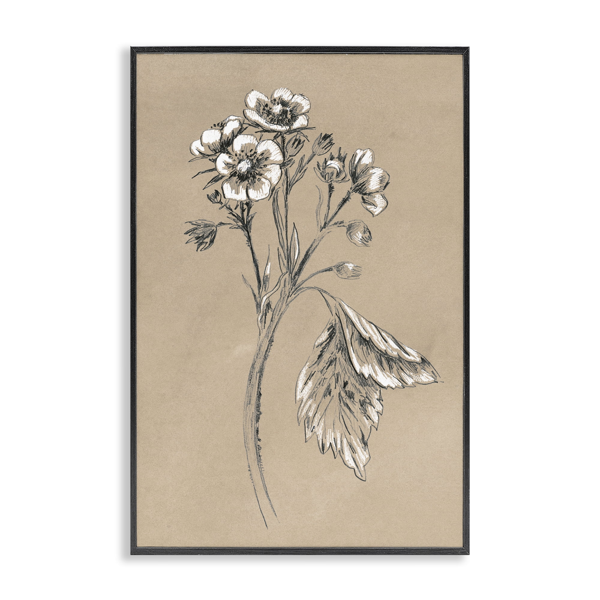 Stupell Industries Flower Sprig Sketch Botanical & Floral Drawing Black ...