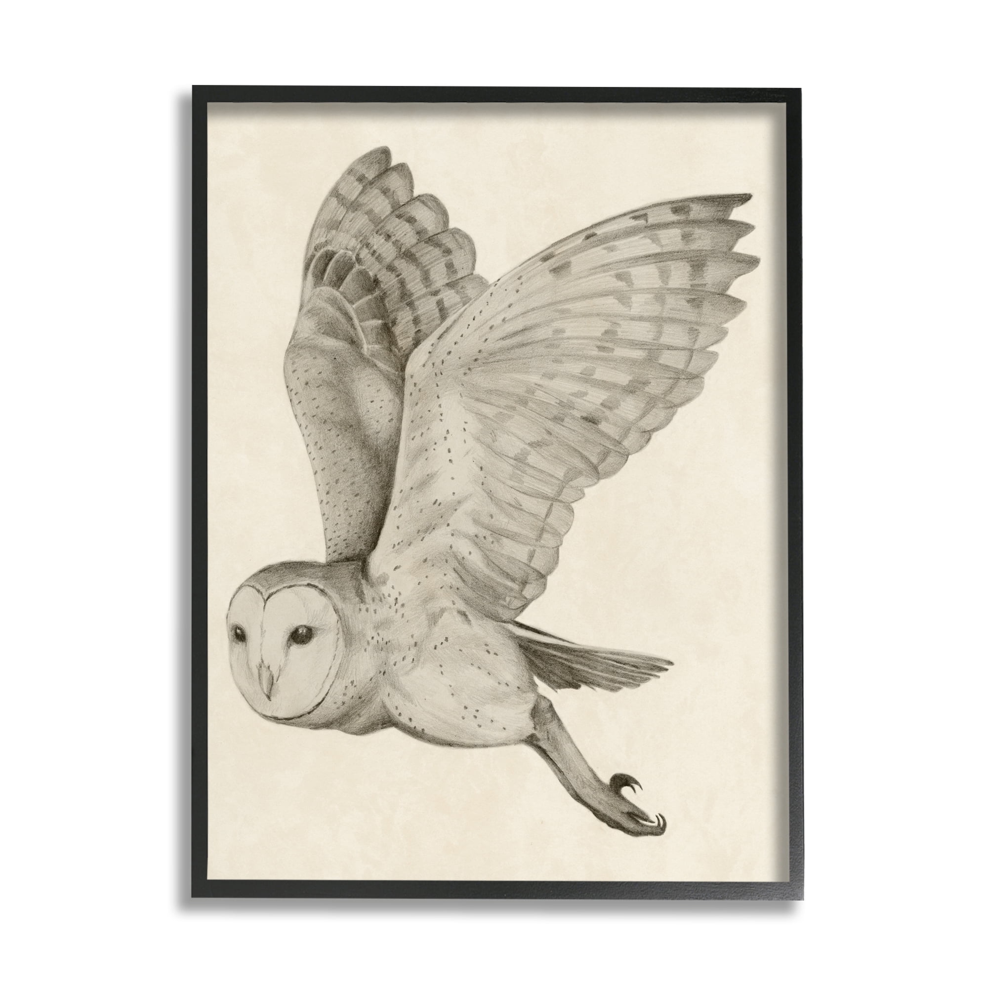 Flying Owl Design