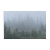 Stupell Misty Forest Trees Nature Photography Canvas Print - Walmart.com