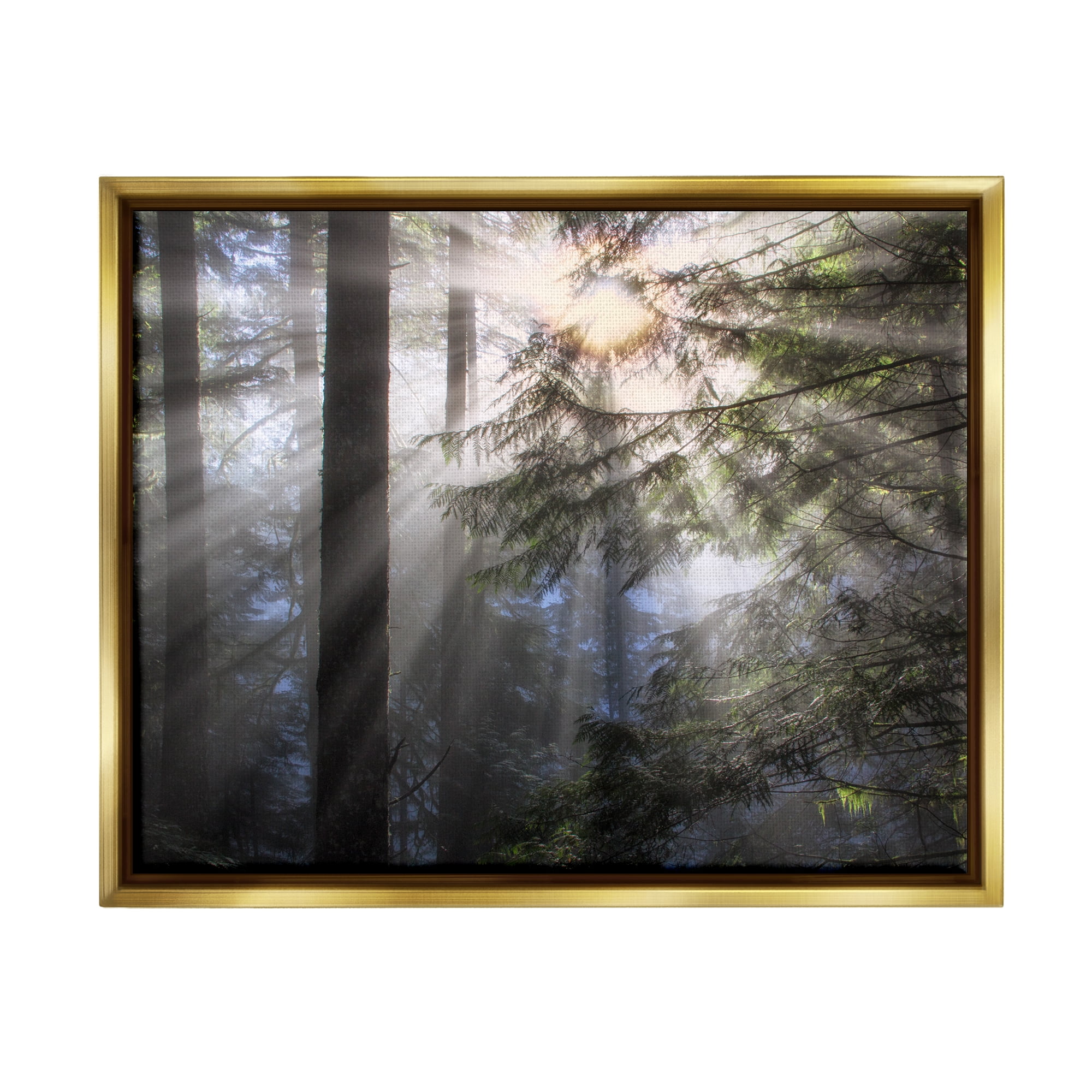 Stupell Industries Forest Sun Rays Nature Scenery Landscape Photography ...