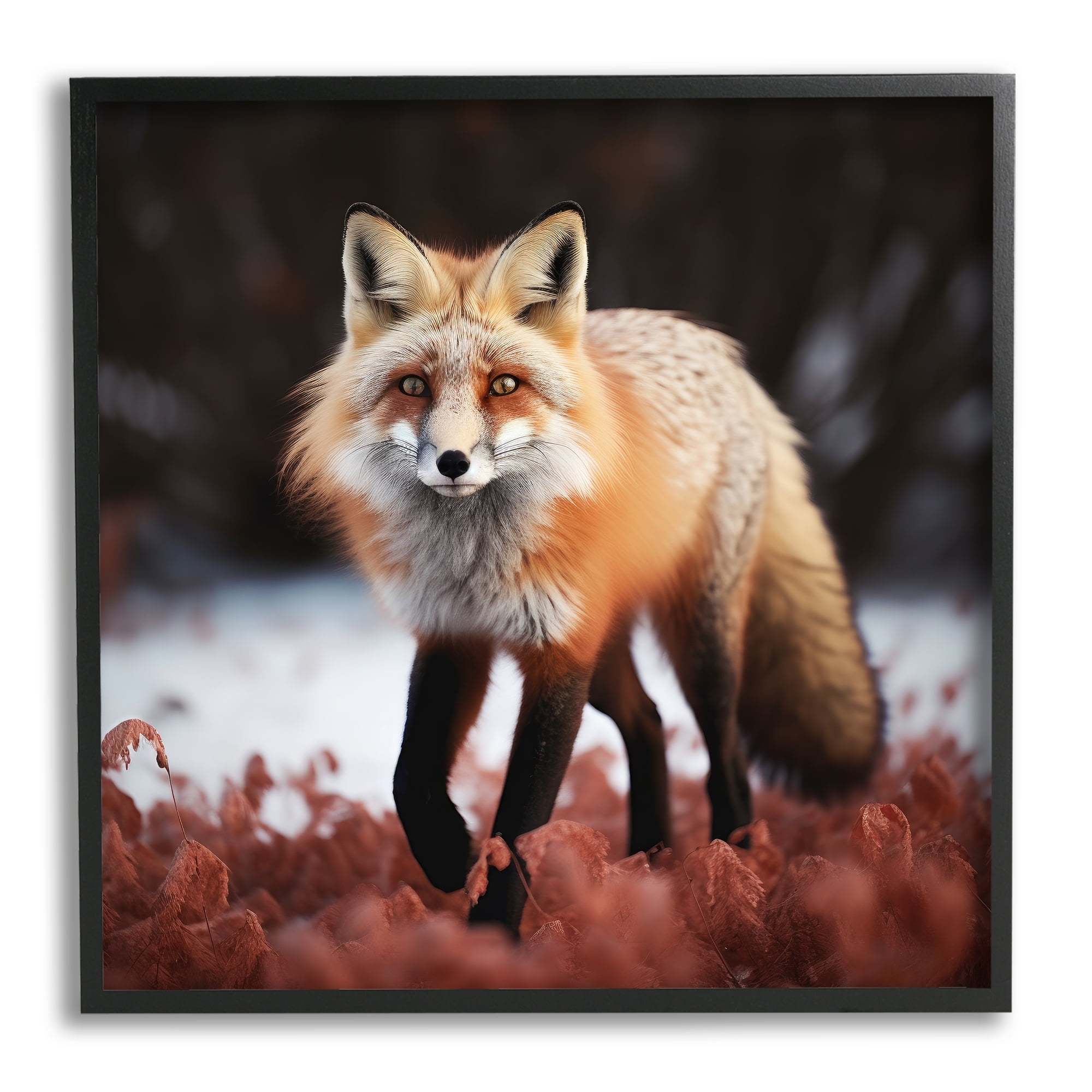 Stupell Industries Fox Cub in Nature Animals & Insects Photography ...
