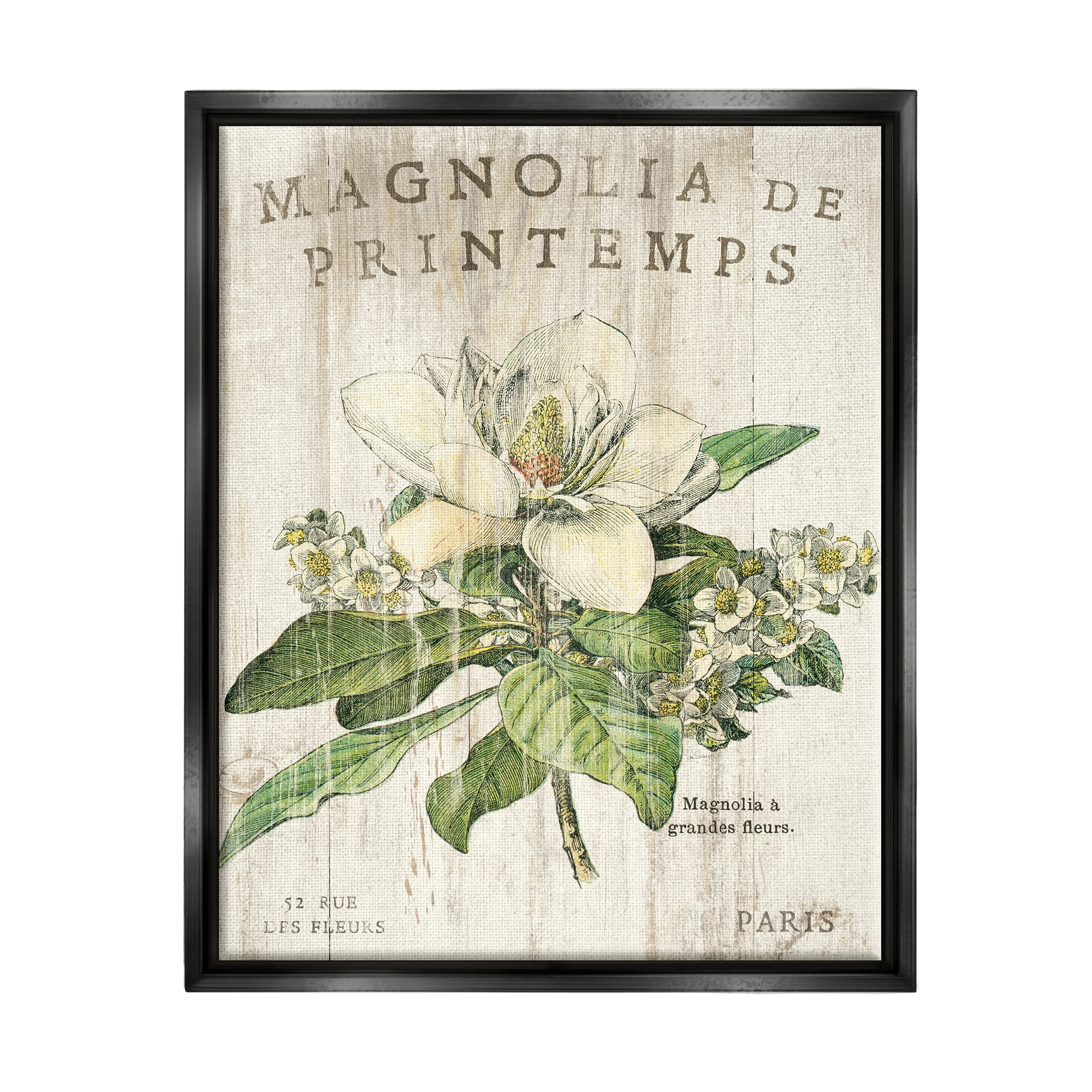 Stupell Industries French Magnolias In Spring Jet Black Framed Floating ...