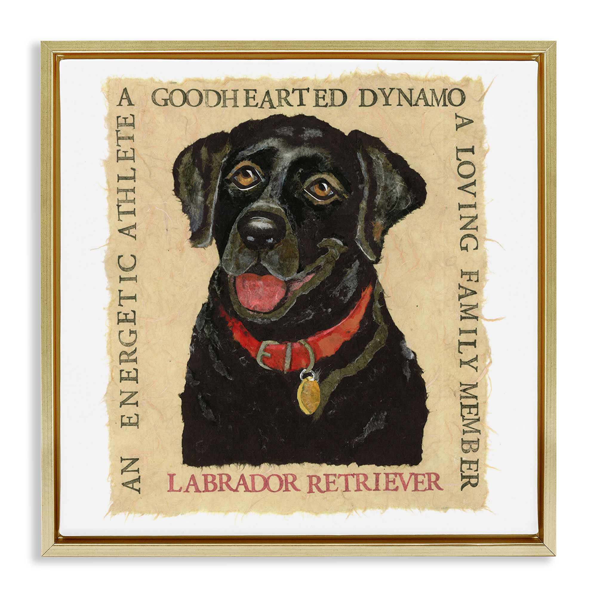 Stupell Industries Fun Black Labrador Phrases Animals Painting Gold ...