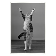 FrameToWall - Fat Cat Capsizing 29x15 Framed Art Print by Watherwax ...