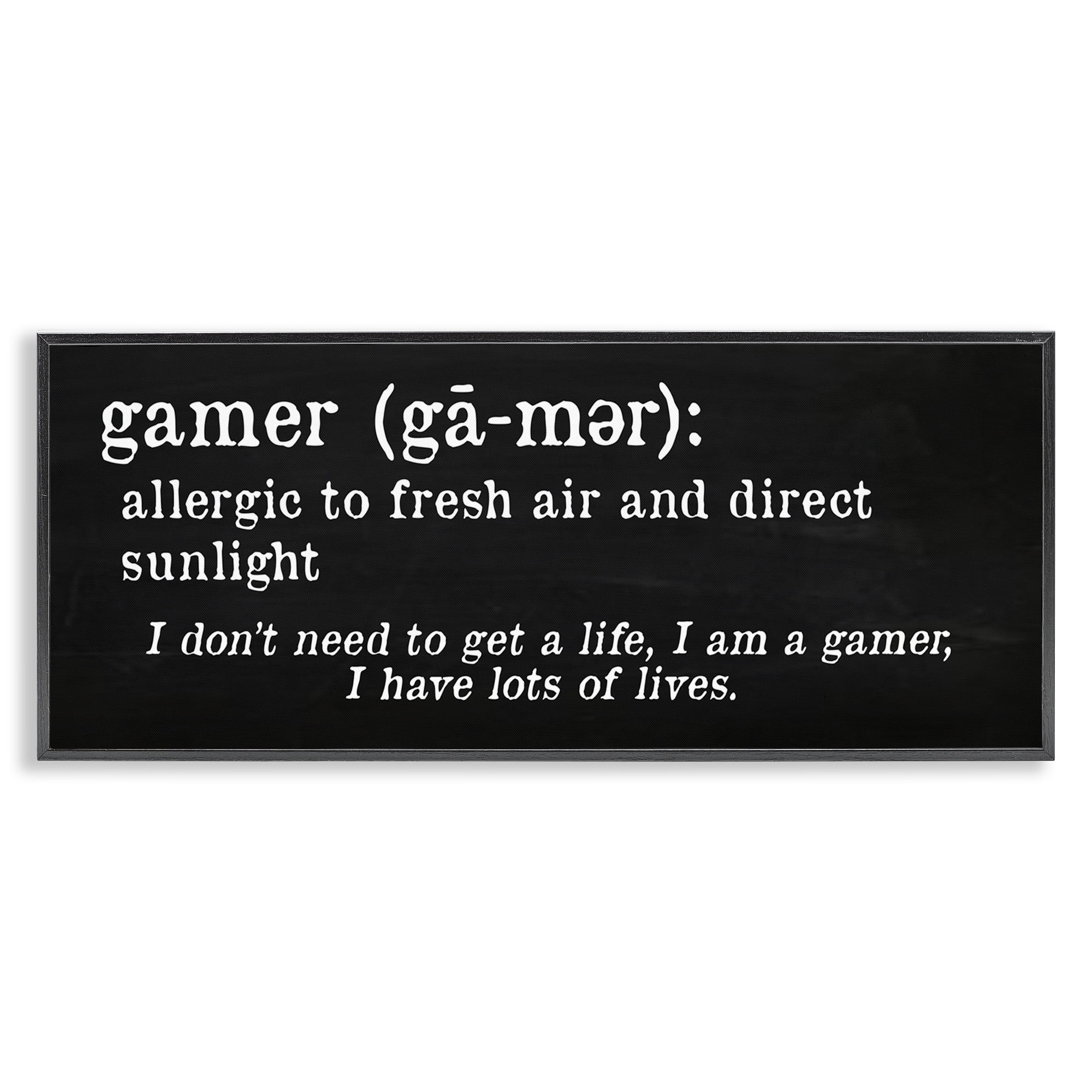 Stupell Industries Funny Gamer Definition Novelty & Humor Painting ...