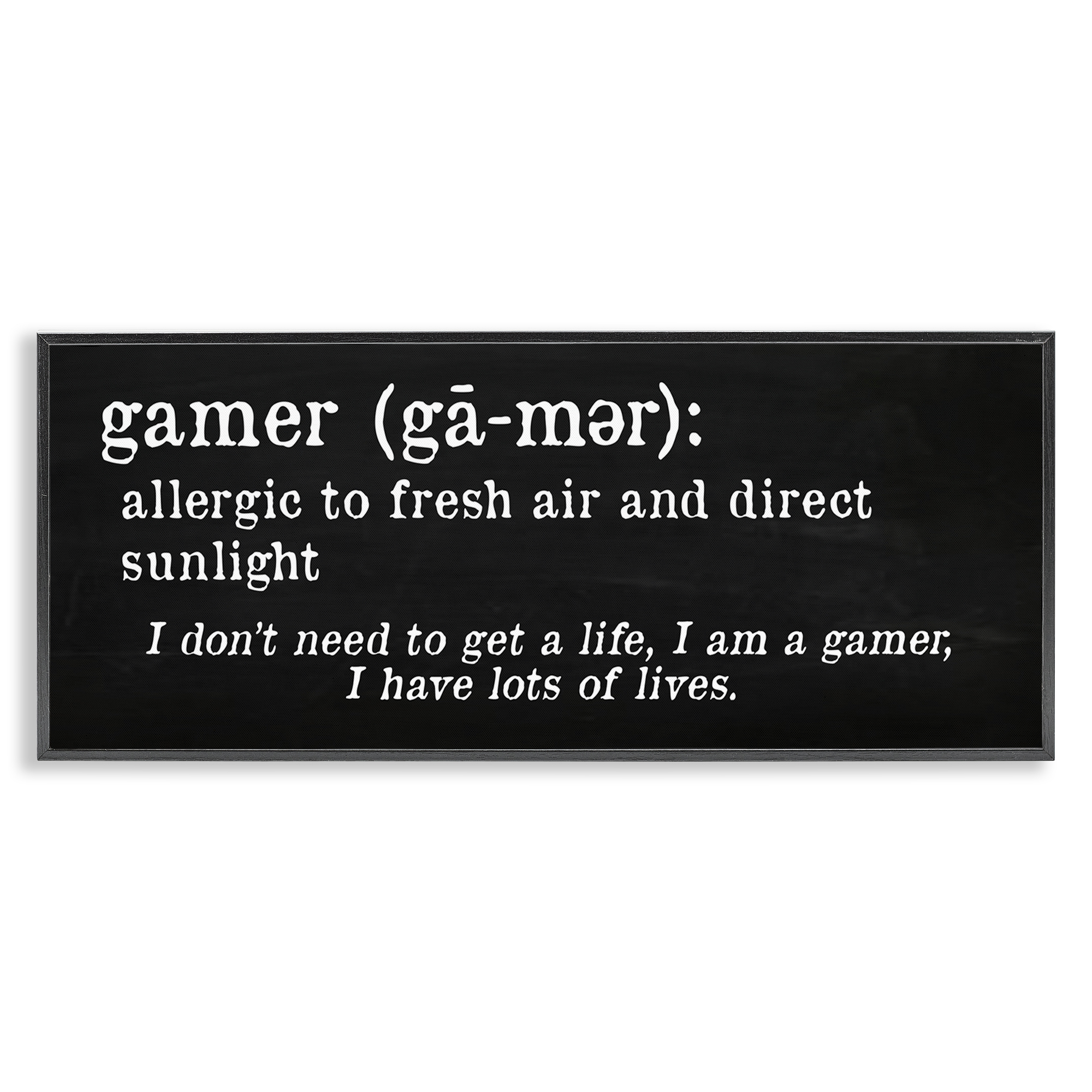 Stupell Industries Funny Gamer Definition Novelty & Humor Painting ...
