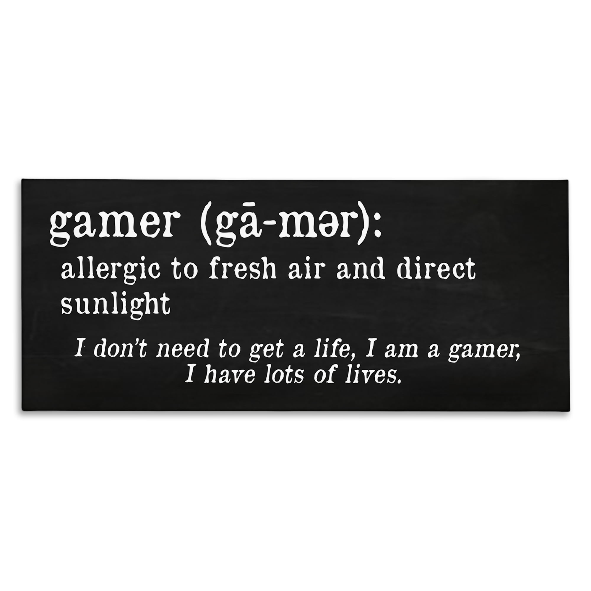 Stupell Industries Funny Gamer Definition Novelty & Humor Painting ...