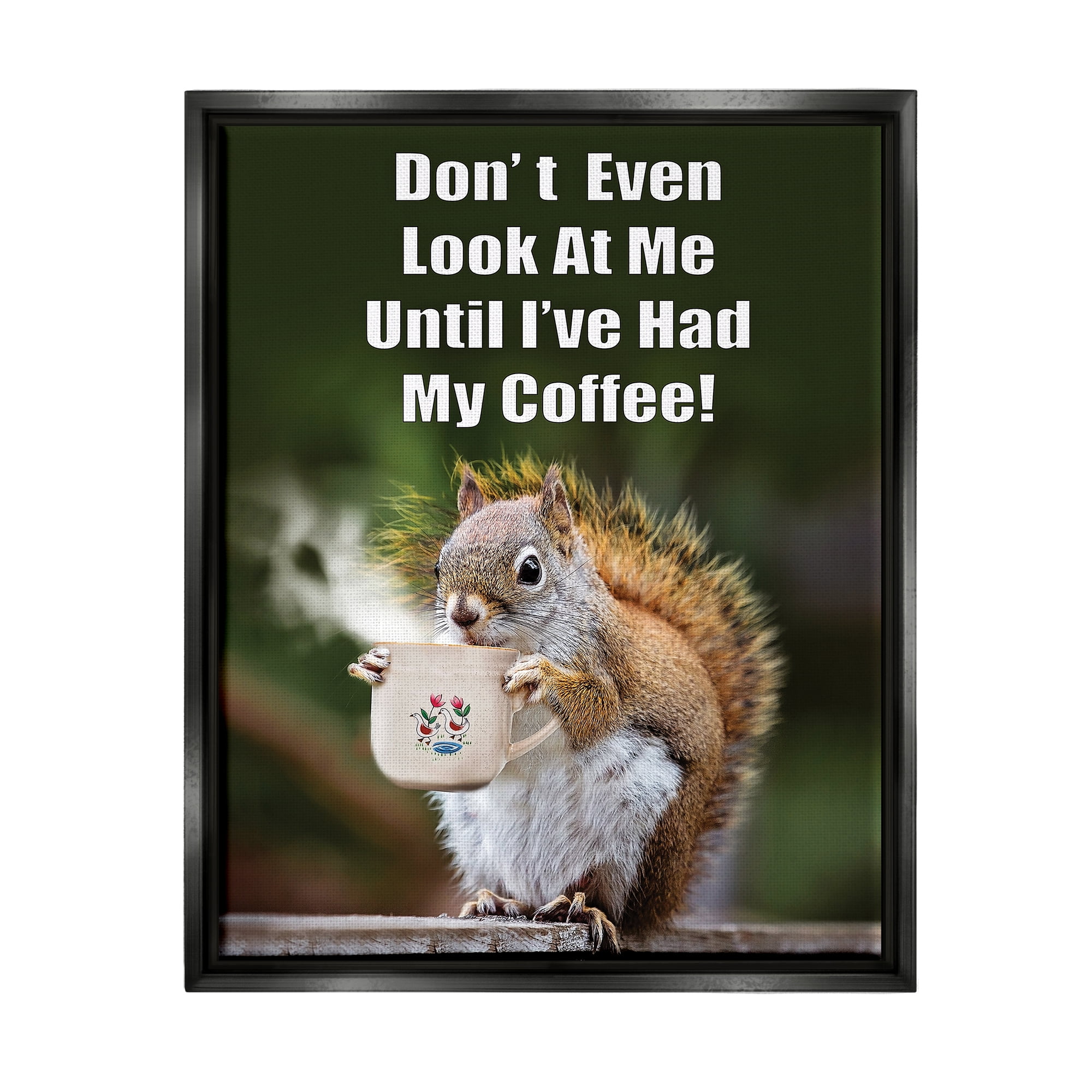 Stupell Industries Funny Squirrel Coffee Phrase Animals & Insects ...