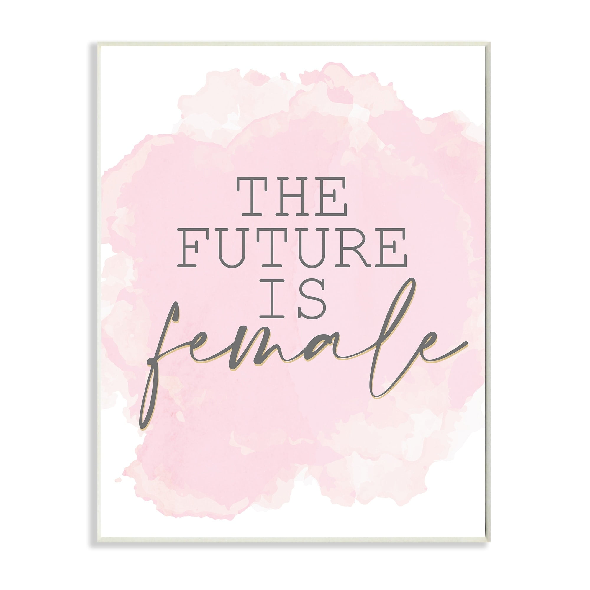 Stupell Industries Future is Female Phrase Abstract Pink Texture Wall ...