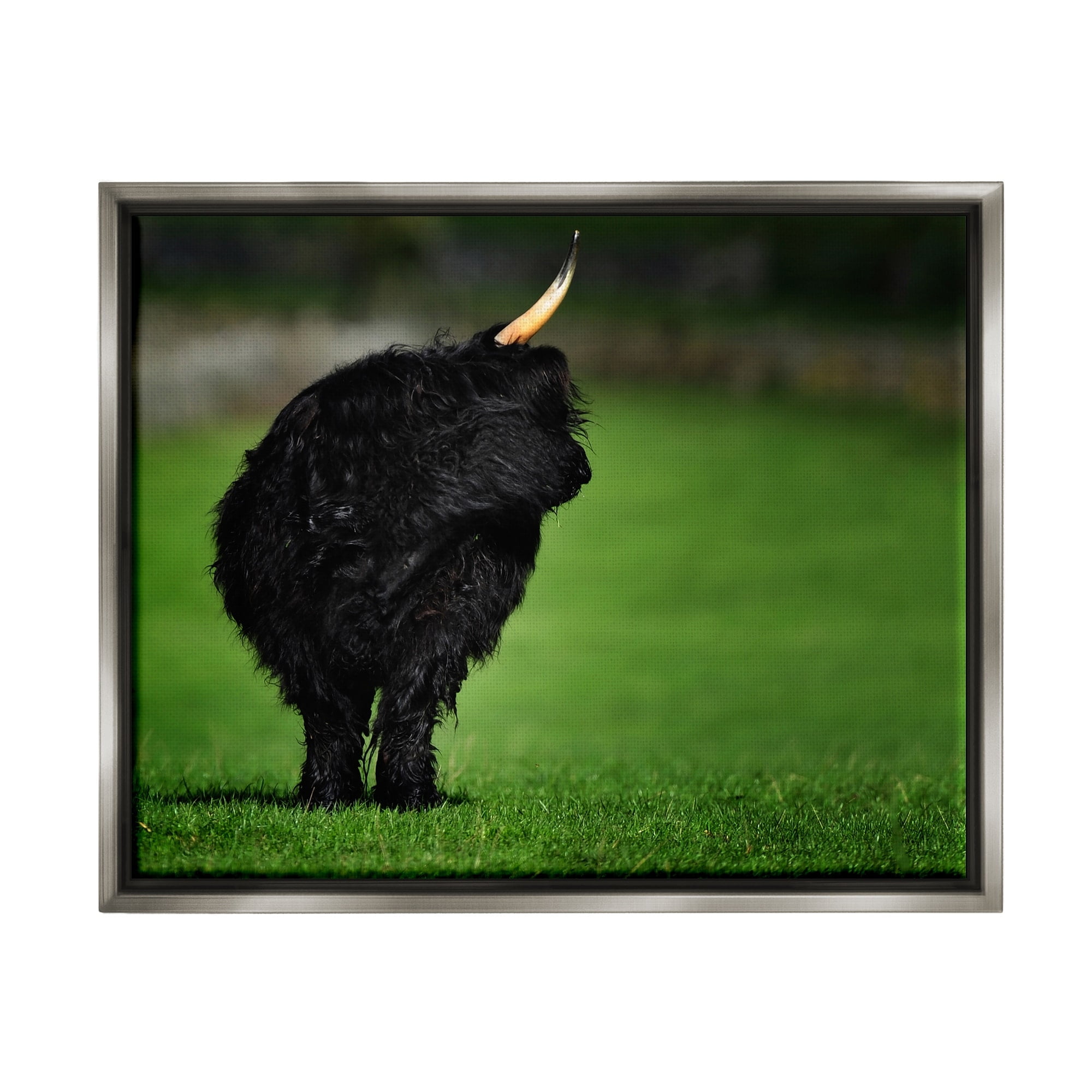Stupell Industries Fuzzy Yak Looking Away Lush Grass Field Photograph ...