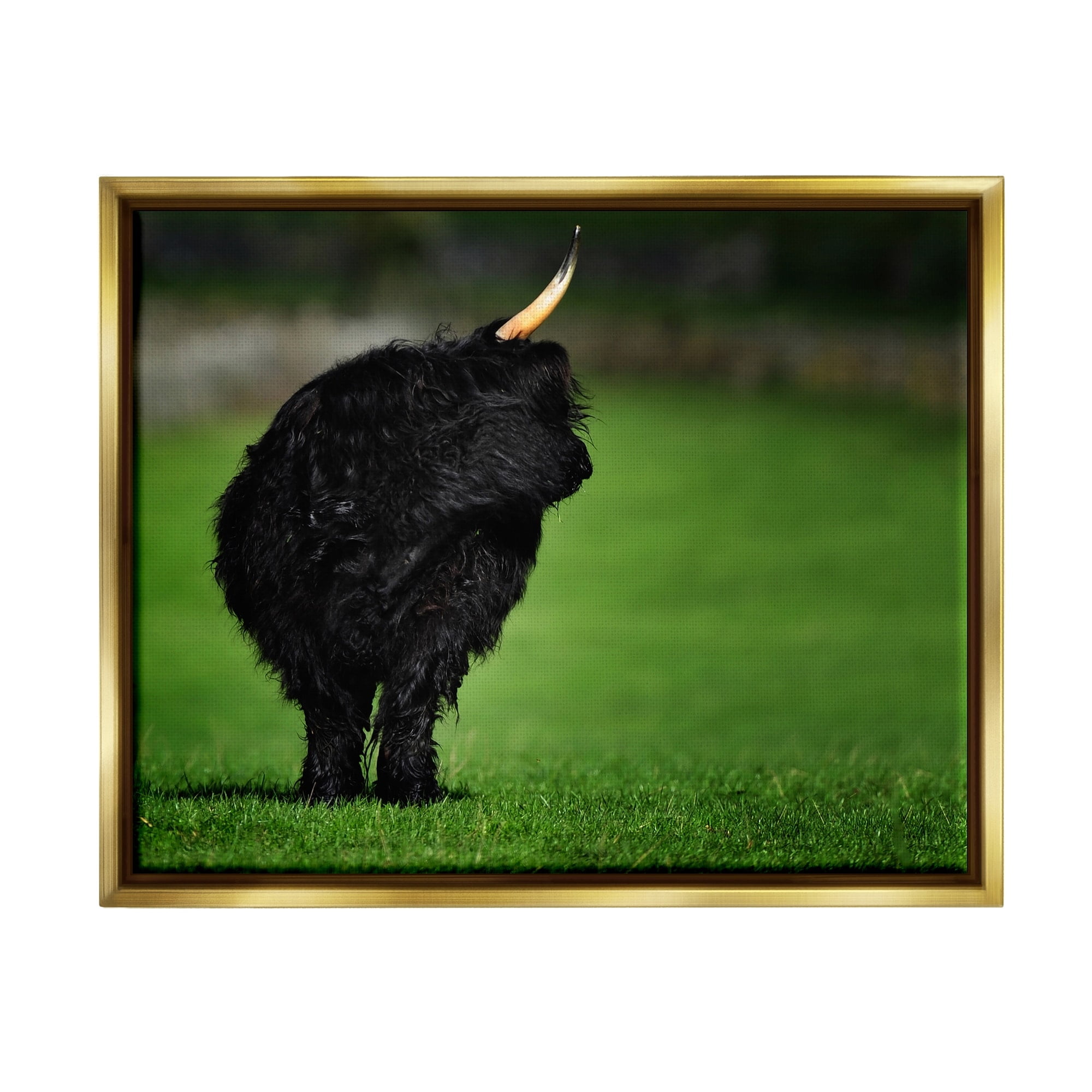 Stupell Industries Fuzzy Yak Looking Away Lush Grass Field Photograph ...