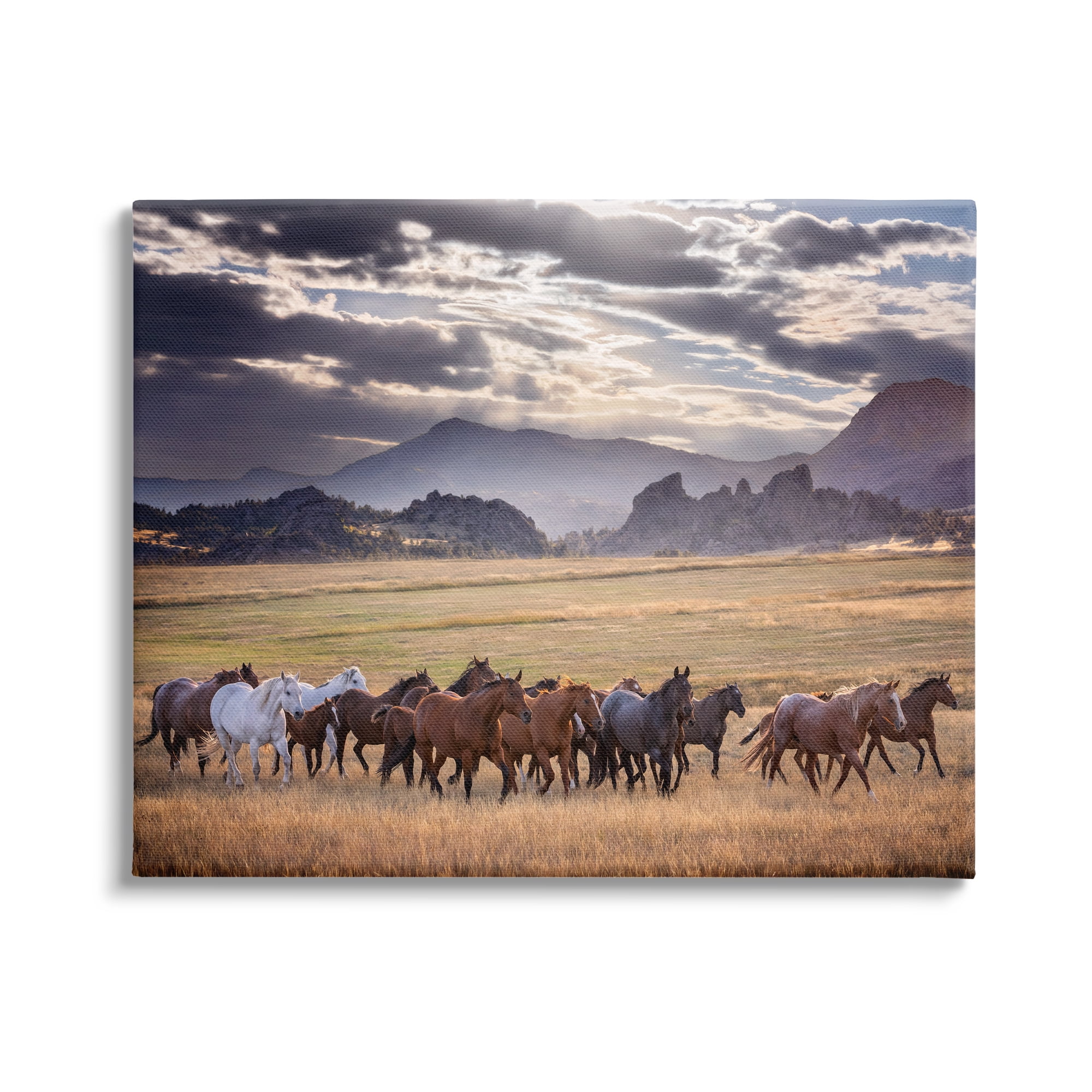 Stupell Industries Galloping Horses Cloudy Mountains Landscape ...