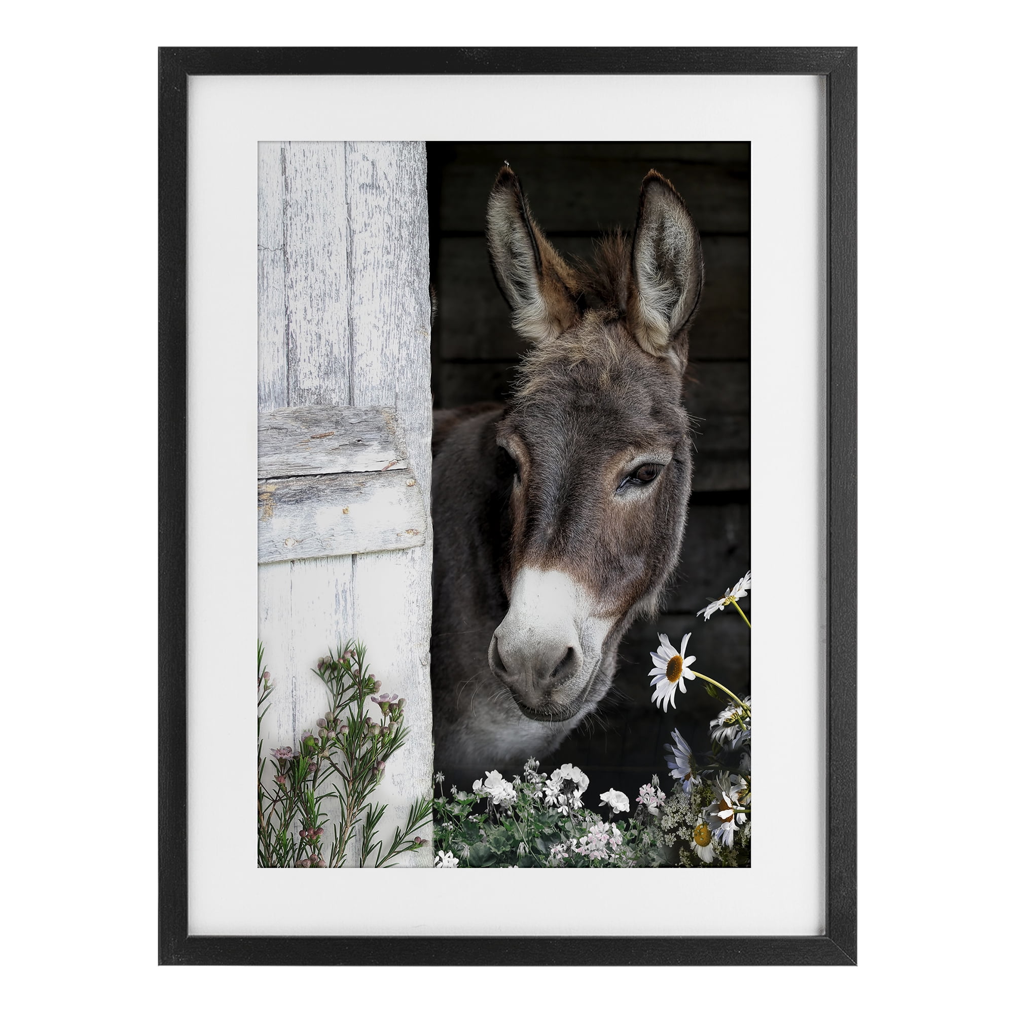 Stupell Industries Gentle Donkey Peering from Barn Black Framed Print ...