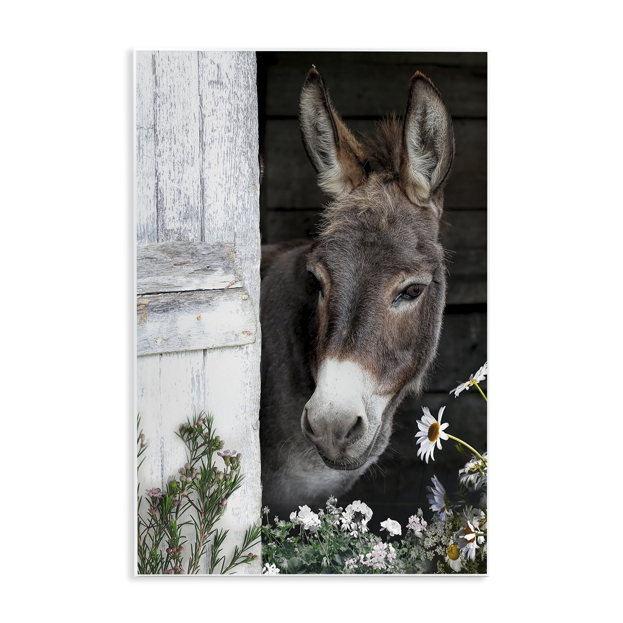Stupell Industries Gentle Donkey Peering from Barn Wall Plaque Art ...