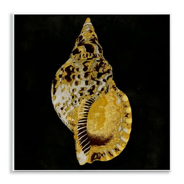 Stupell Industries Clam & Conch Watercolors Nautical & Beach Painting ...