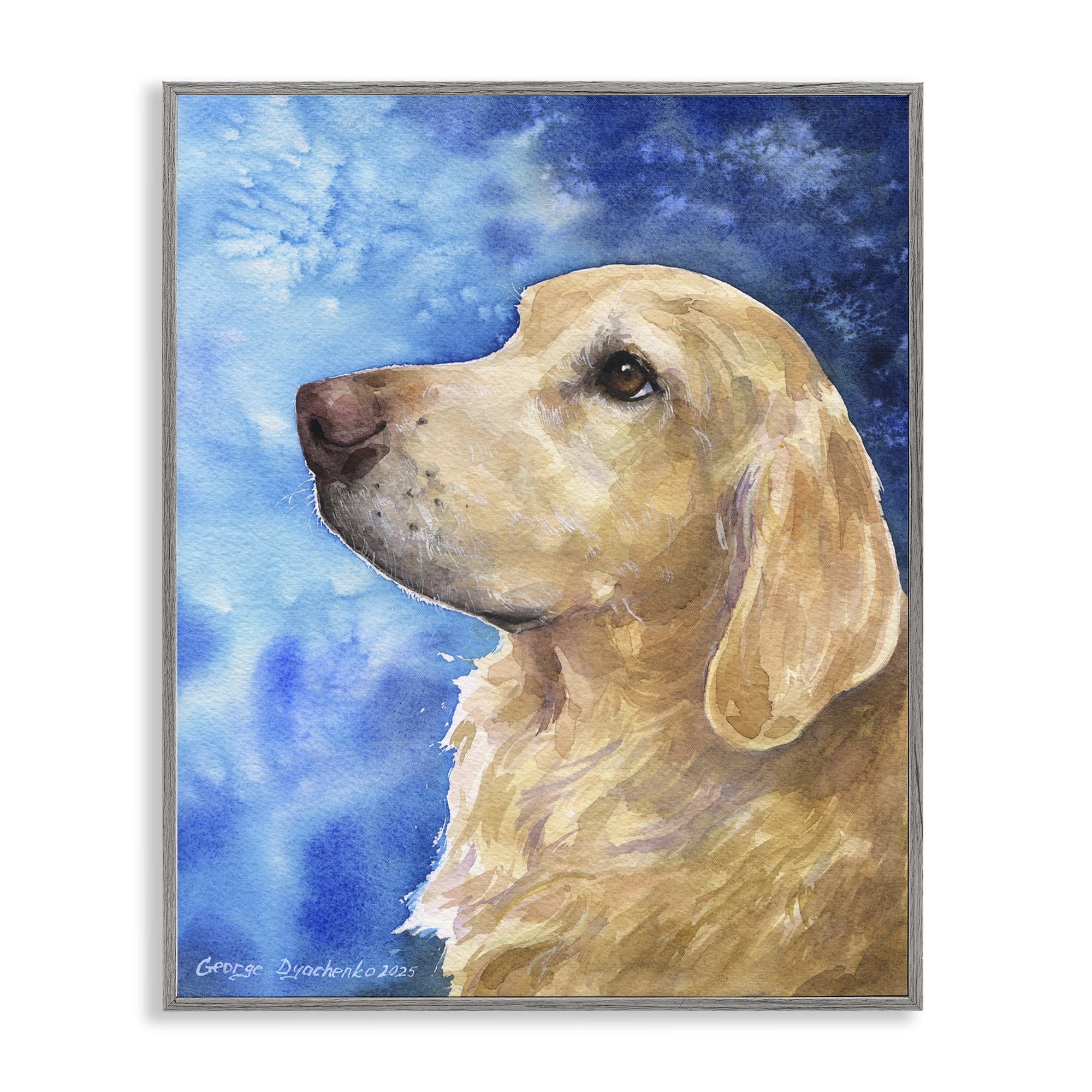 Stupell Industries Golden Retriever Portrait on Azure Gray Framed ...