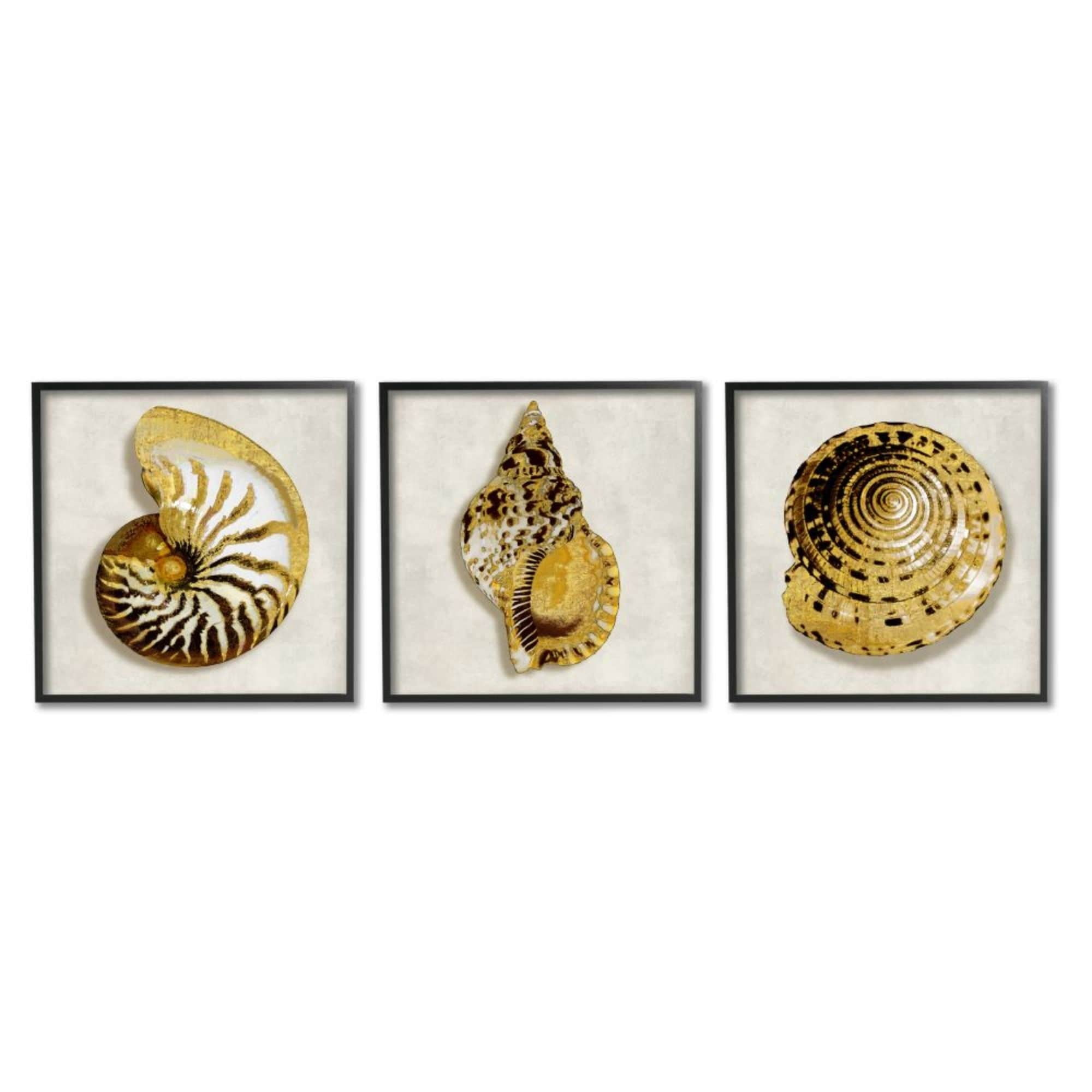 Stupell Industries Golden Spiral Seashells with Intricate Patterns ...