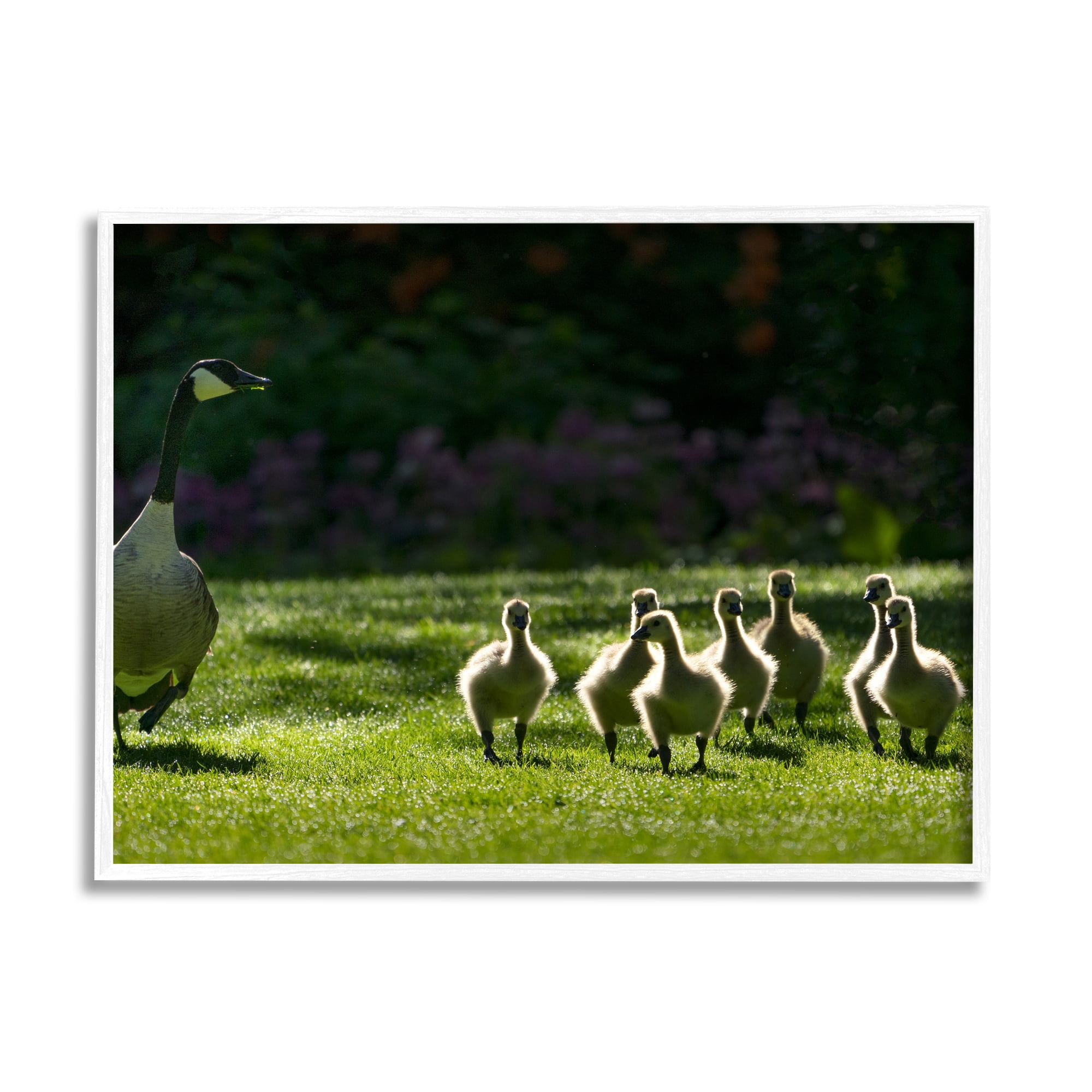 Stupell Industries Goose Family Photography Animals & Insects ...